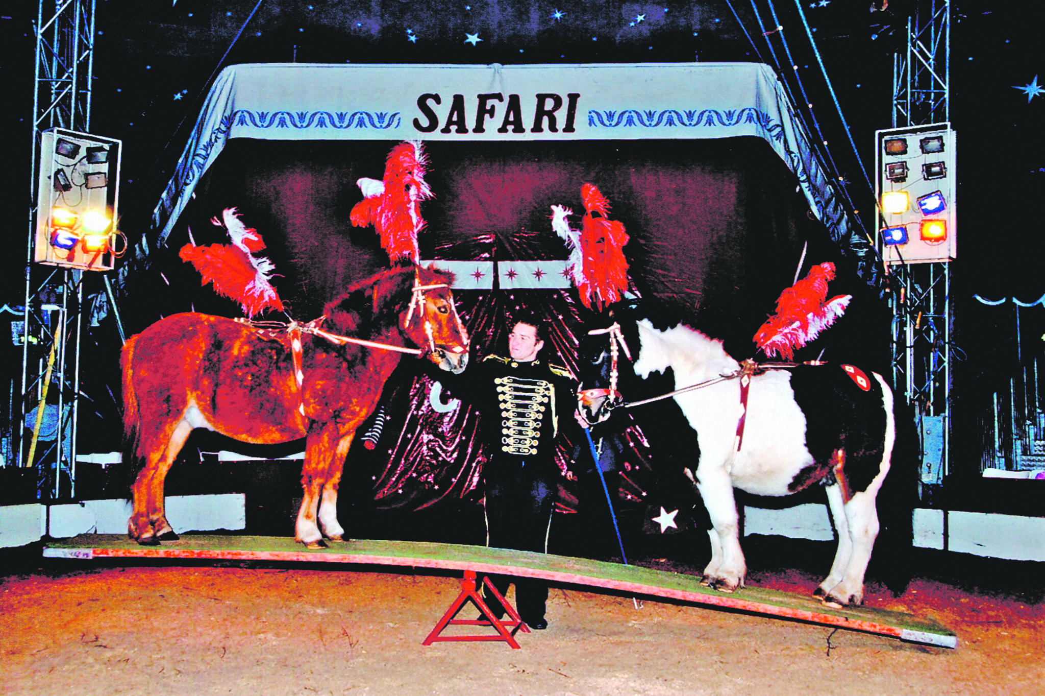 Ponys und Clowns: Circus Safari in Transdanubien - Donaustadt