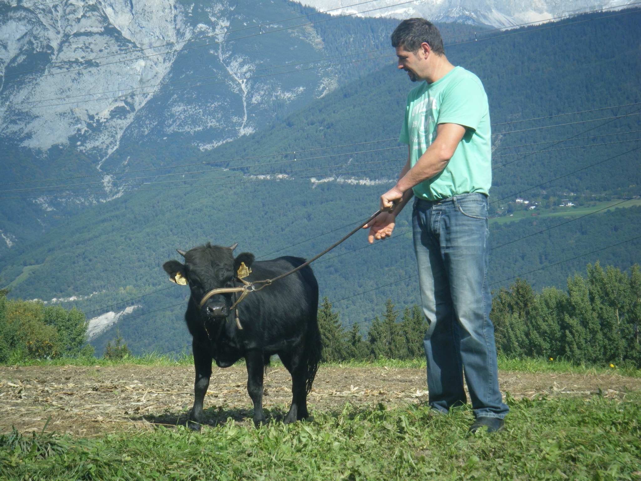 Neuer Obmann bei den Dahomey-Züchtern: Herausforderung Zuchtprogramm ...