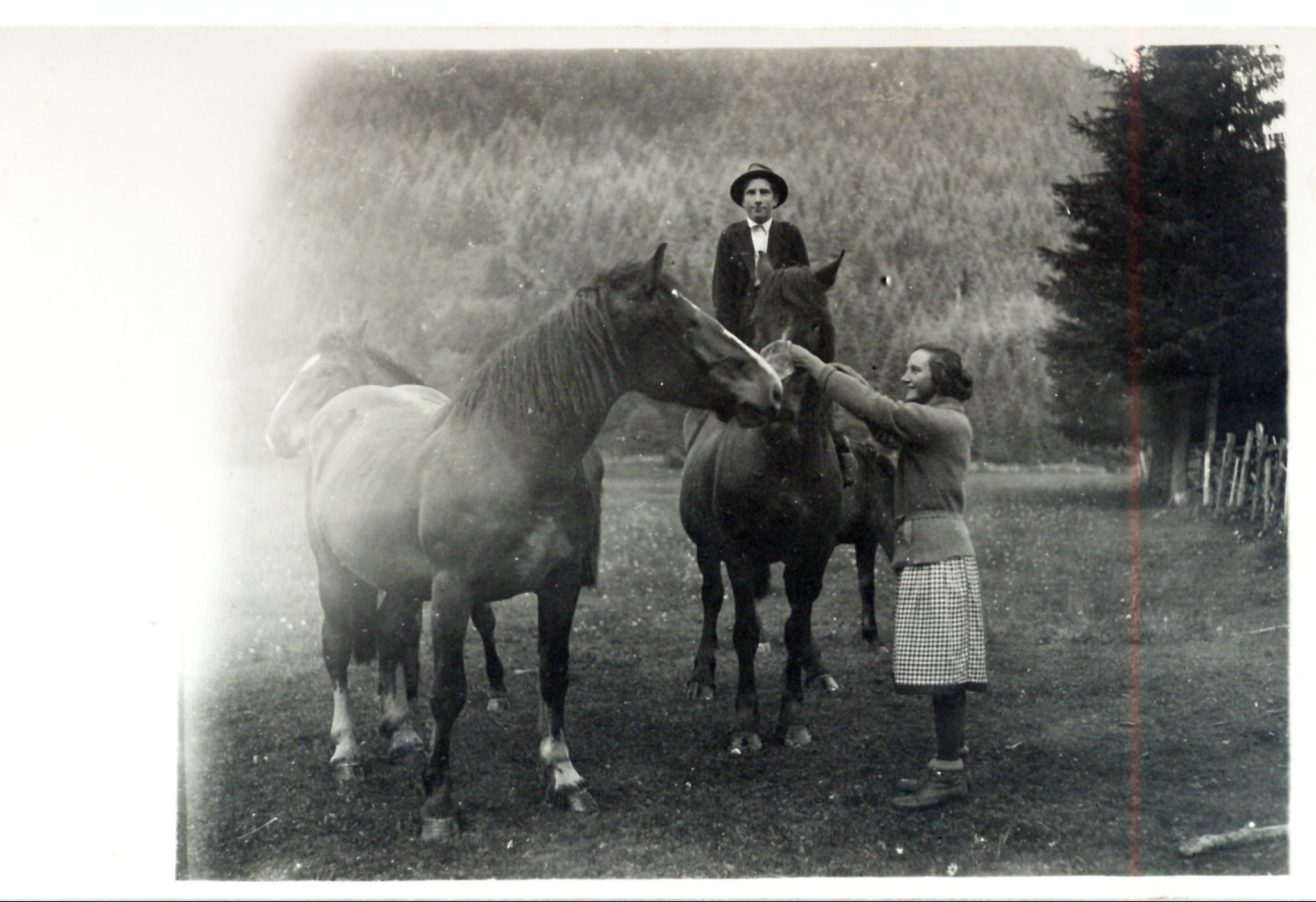 Ein stolzer Reiter der Stefan - Villach Land