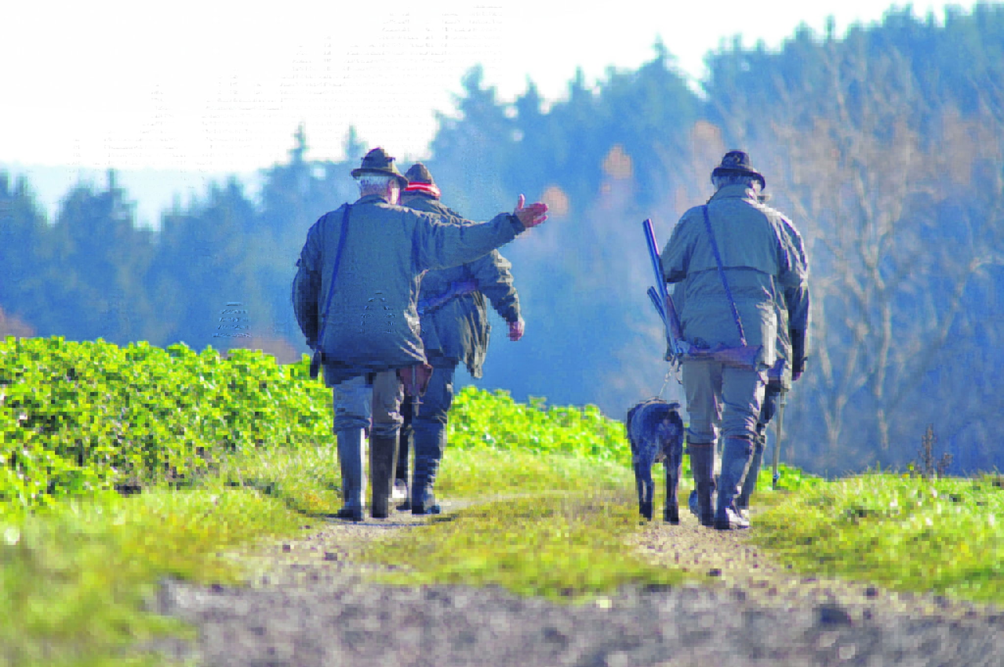 Vom Hegen, Pflegen und Erlegen - Graz