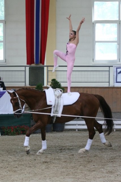 Voltigieren: Gold für Daniela Fritz bei der Heim-EM - Eisenstadt