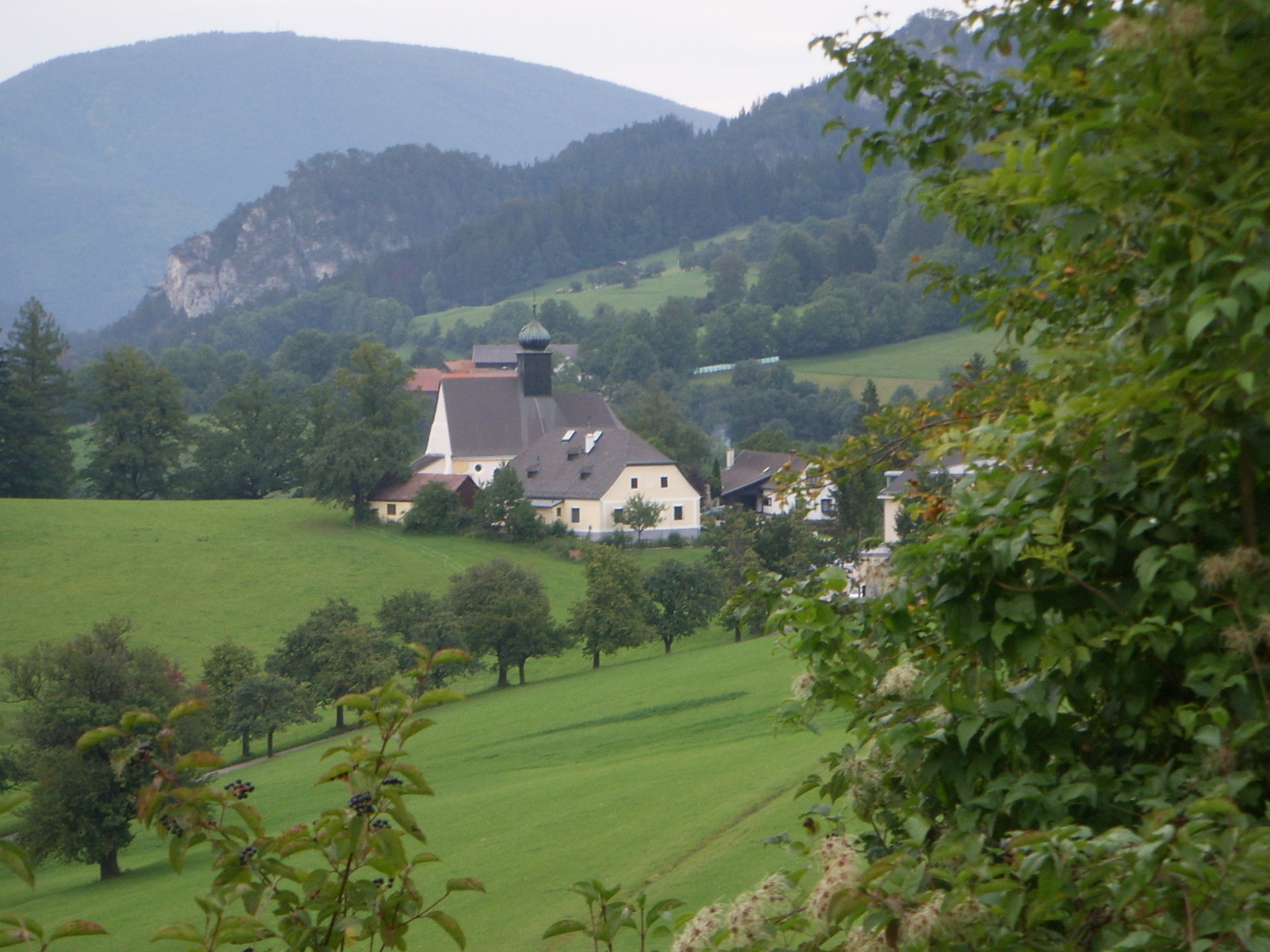 Miesenbach - Wiener Neustadt