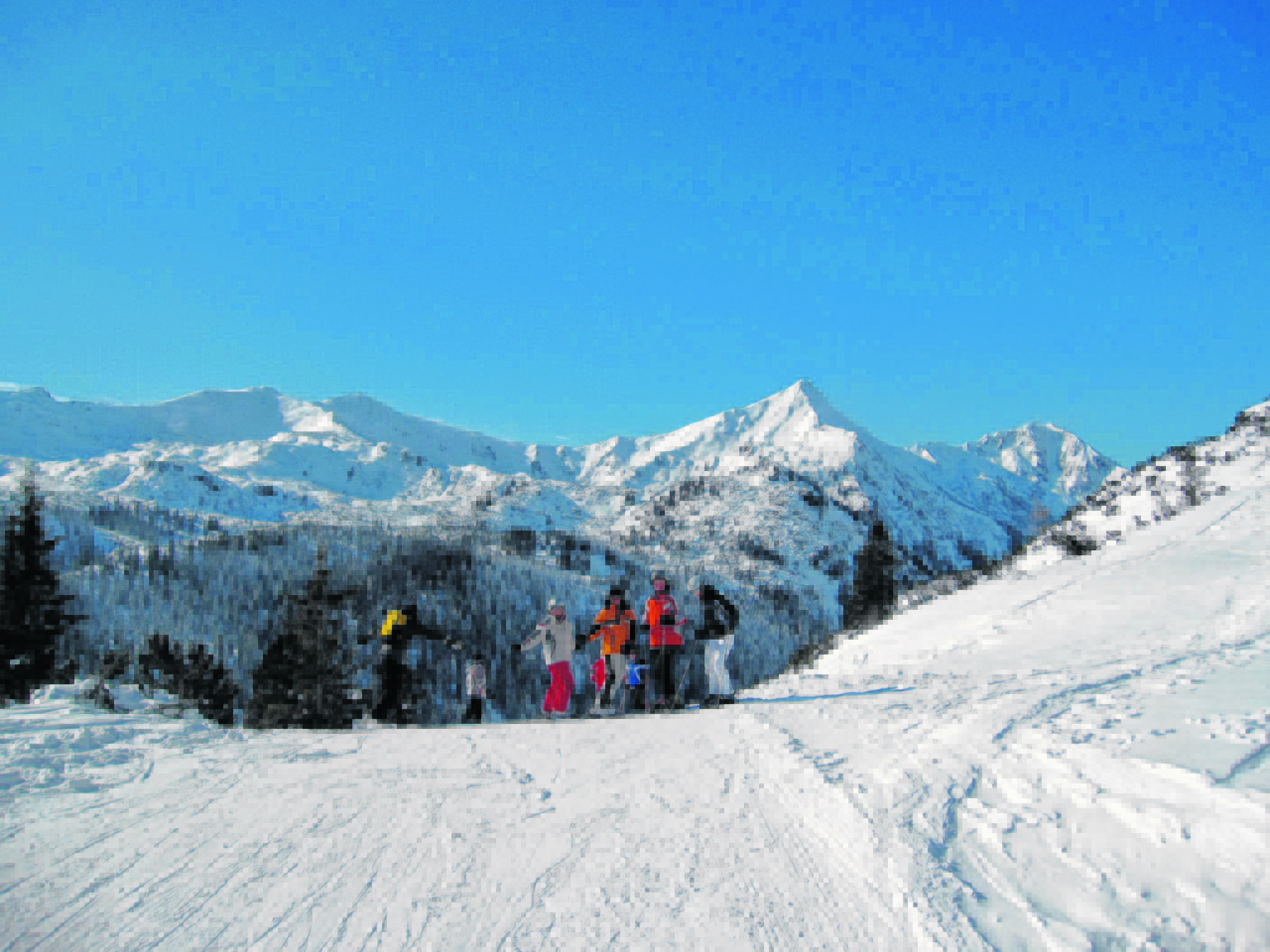 Planneralm: Ein kleiner, natürlicher Geheimtipp - Graz