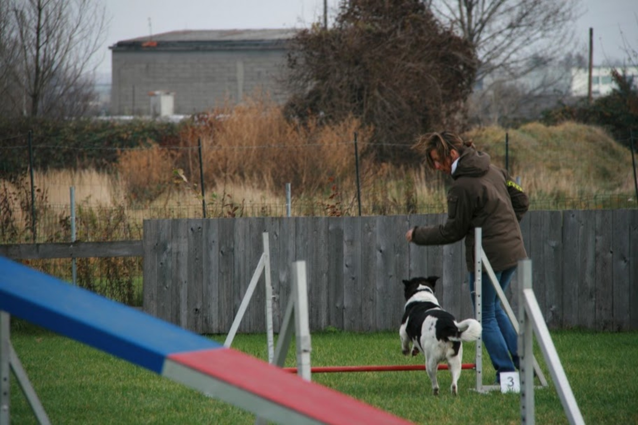 Agility Light für Hunde - Donaustadt