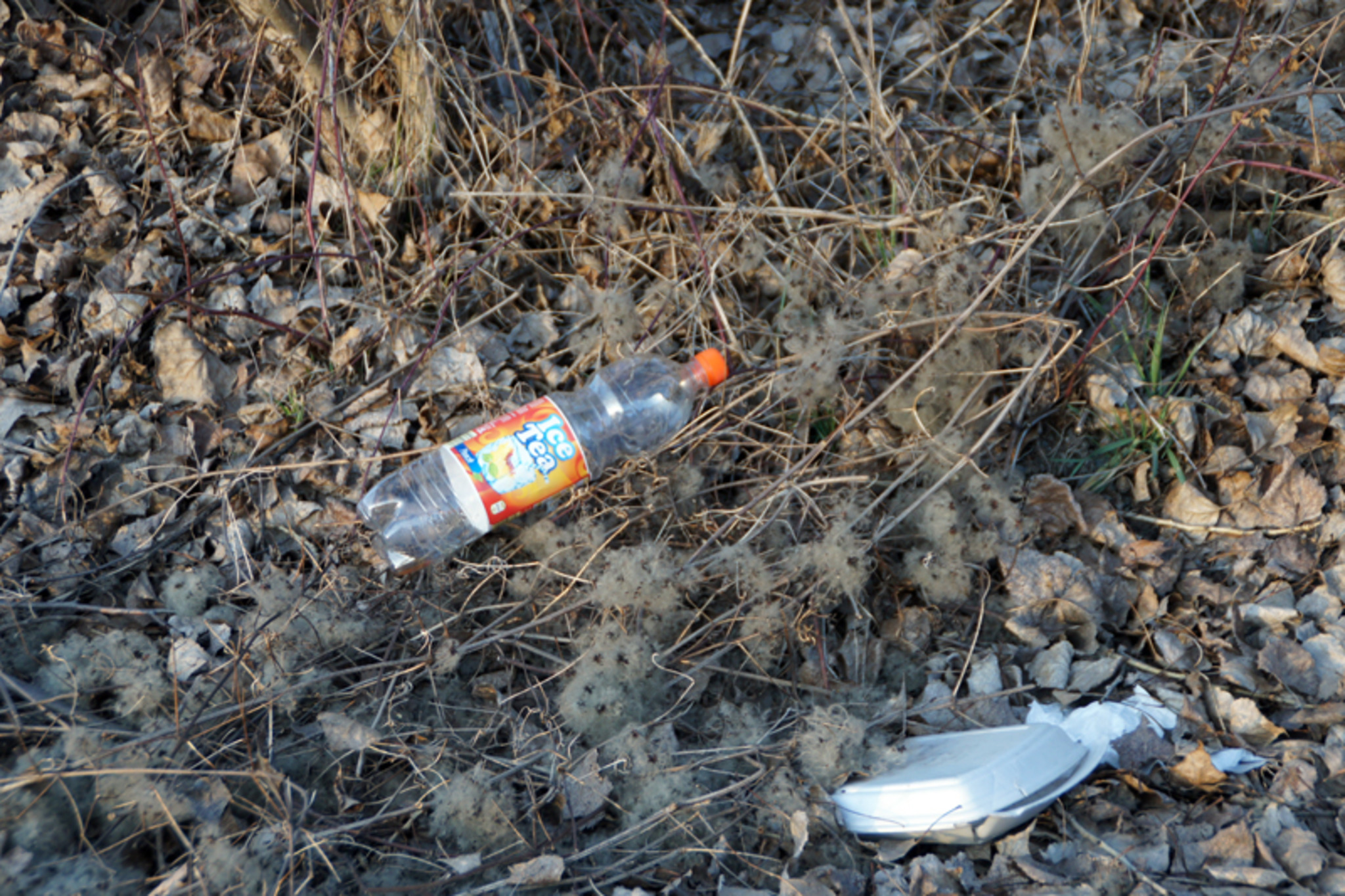 Die Wegwerf-Gesellschaft - Imst