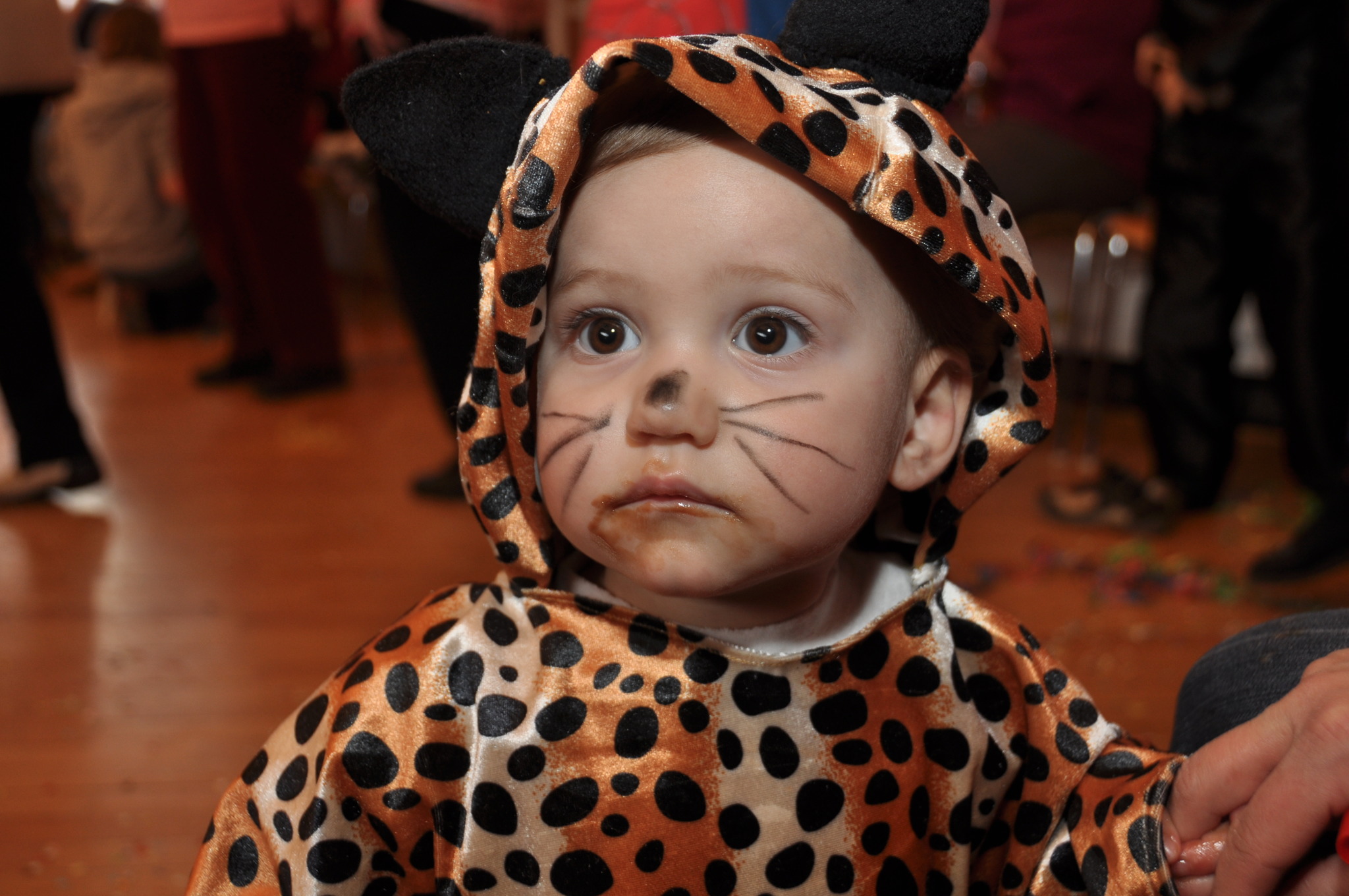 Der Fasching auf seinem Höhepunkt - Herzogenburg/Traismauer