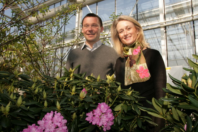 Praskac - Thema auf meinbezirk.at