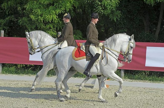 Sommerquartier der Lipizzaner Schauplatz der ORF-Serie „Das Glück der ...