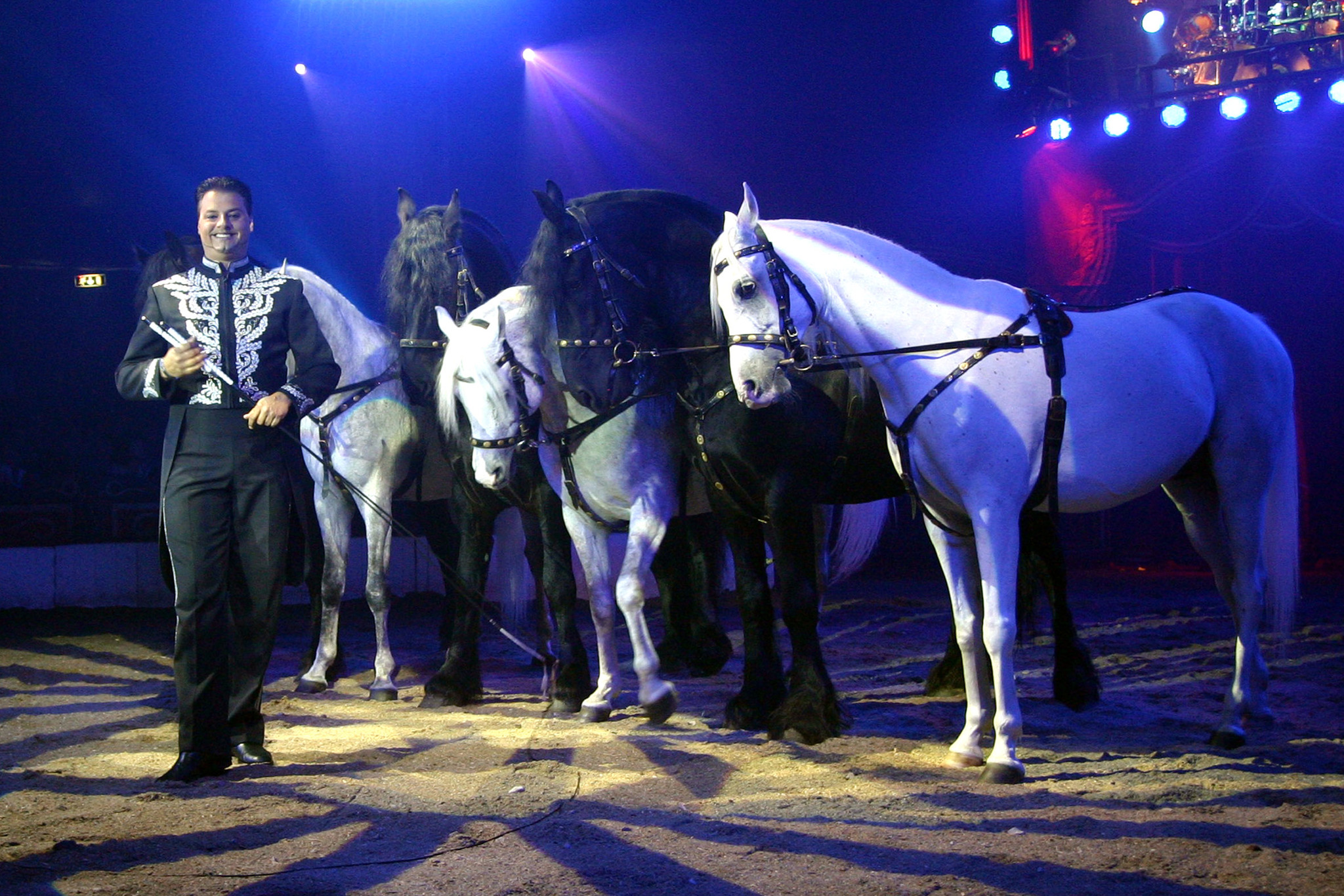 Zirkus: Artisten, Tiere und Attraktionen - Leopoldstadt