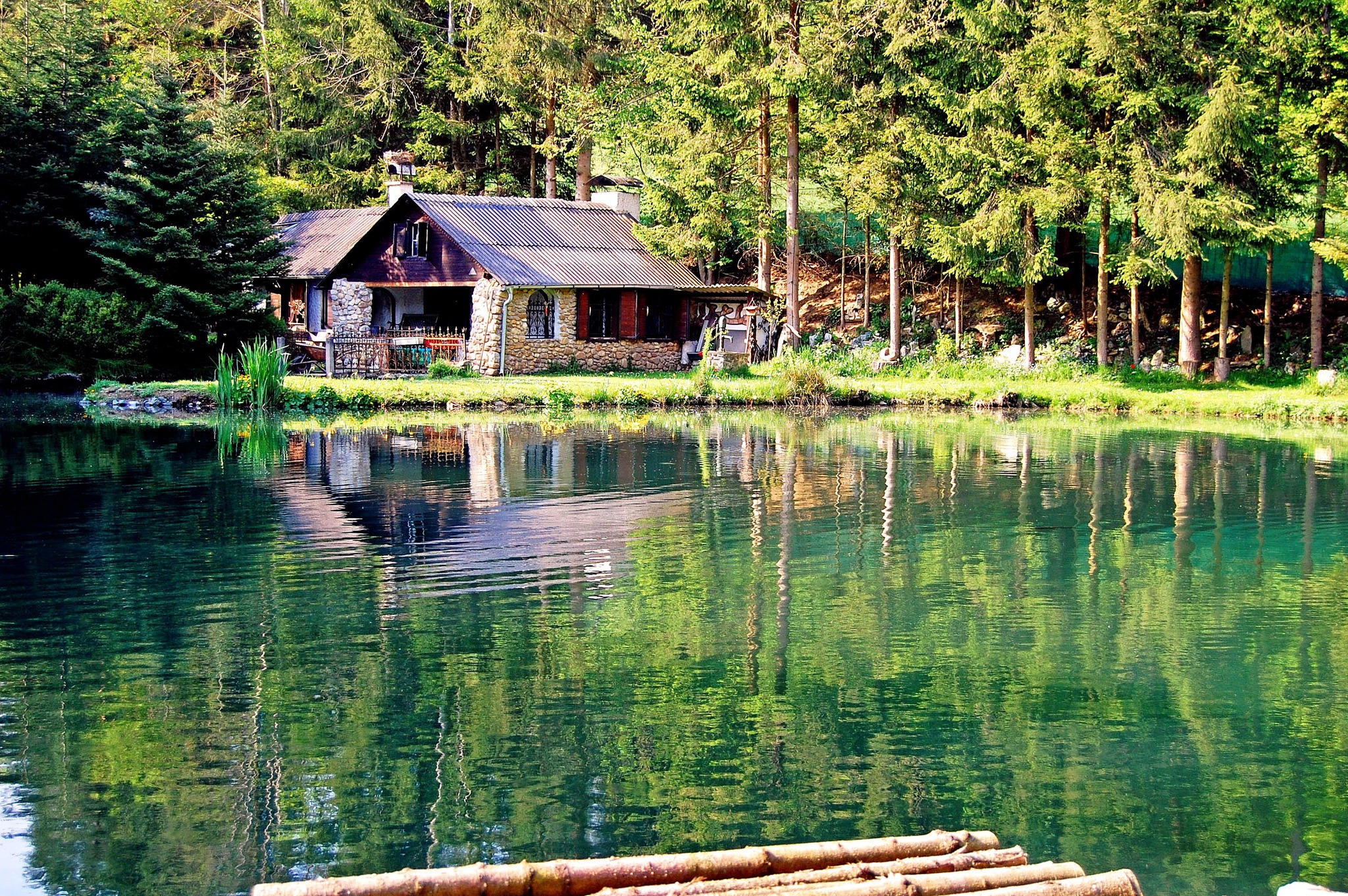 Aufnahmen bei meinen Fischteich 1 - Oberwart