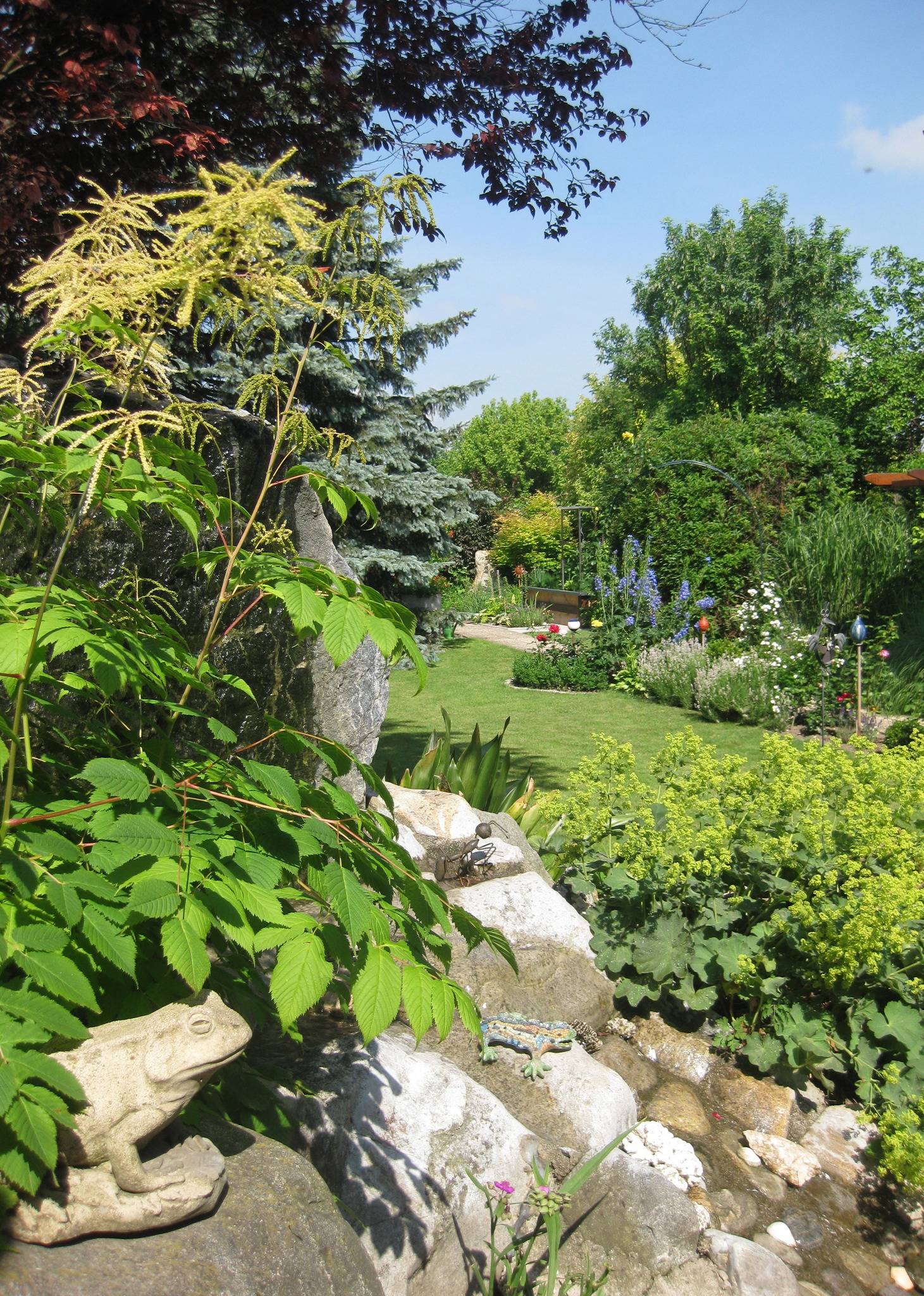 Blick in unseren Garten. - Tulln