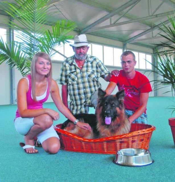 Erster Hund geht in Pension - Graz-Umgebung