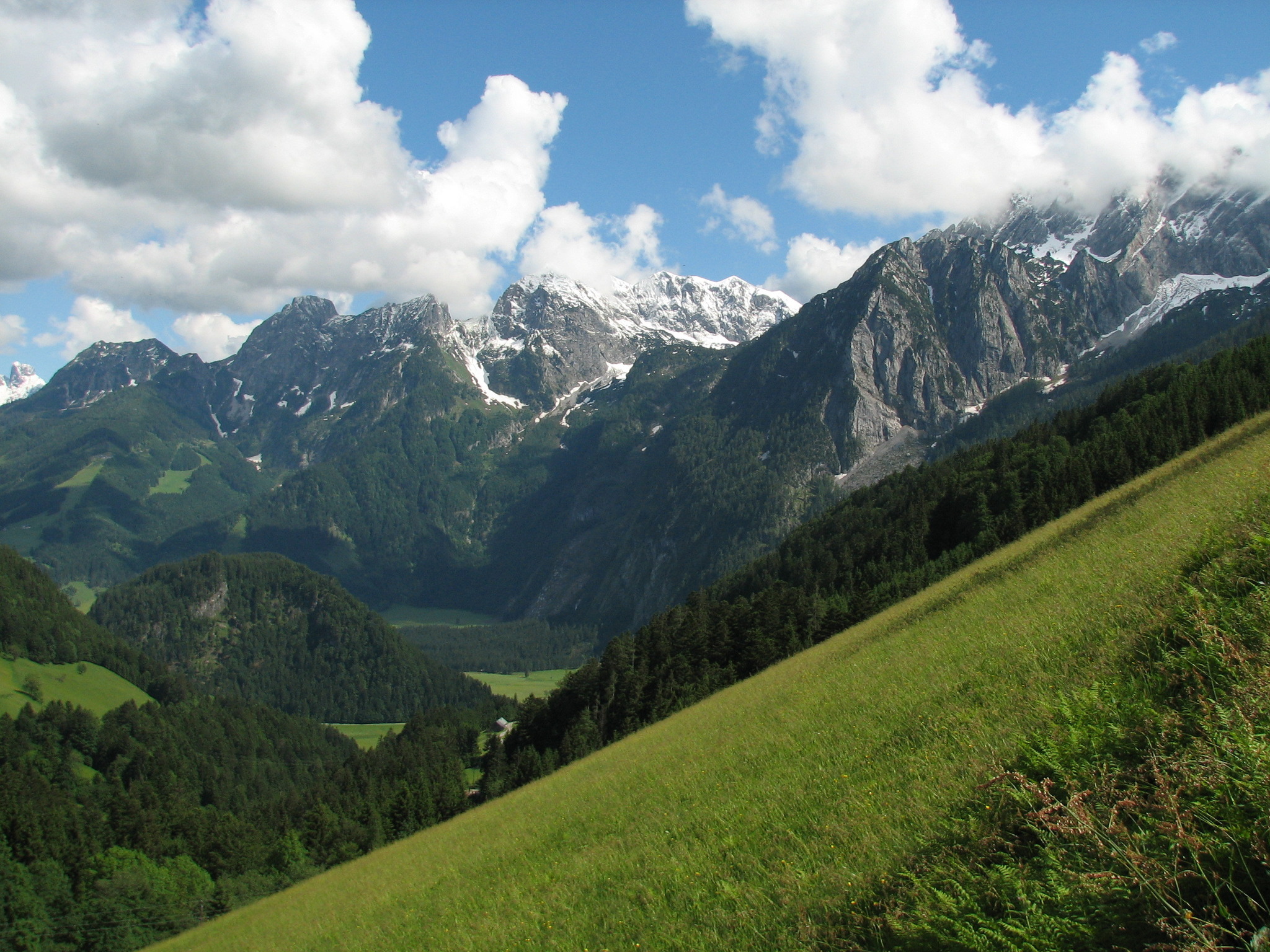 Almwiese mit Tennengebirge - Tennengau