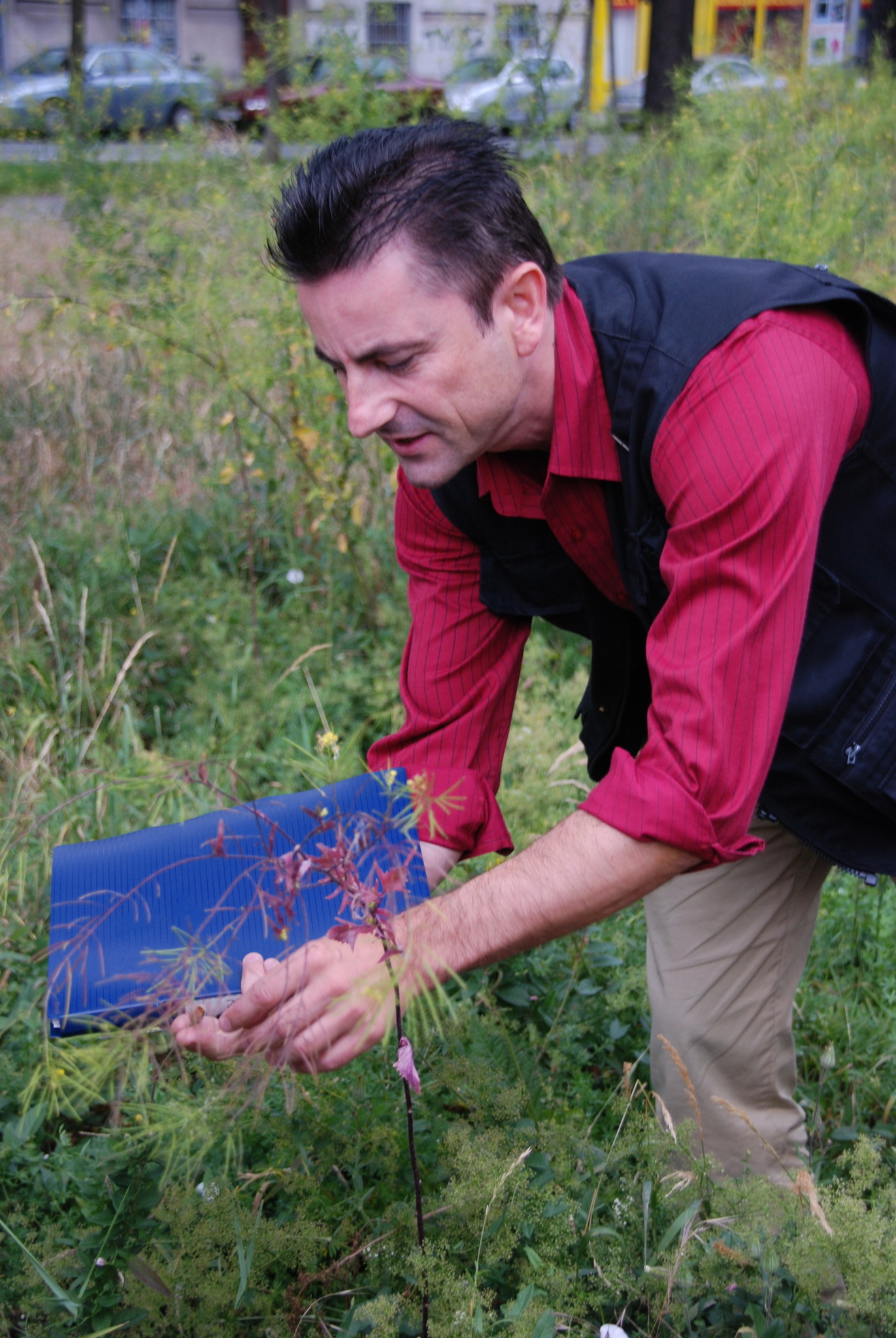 Die wilde Natur in der Stadt - Margareten
