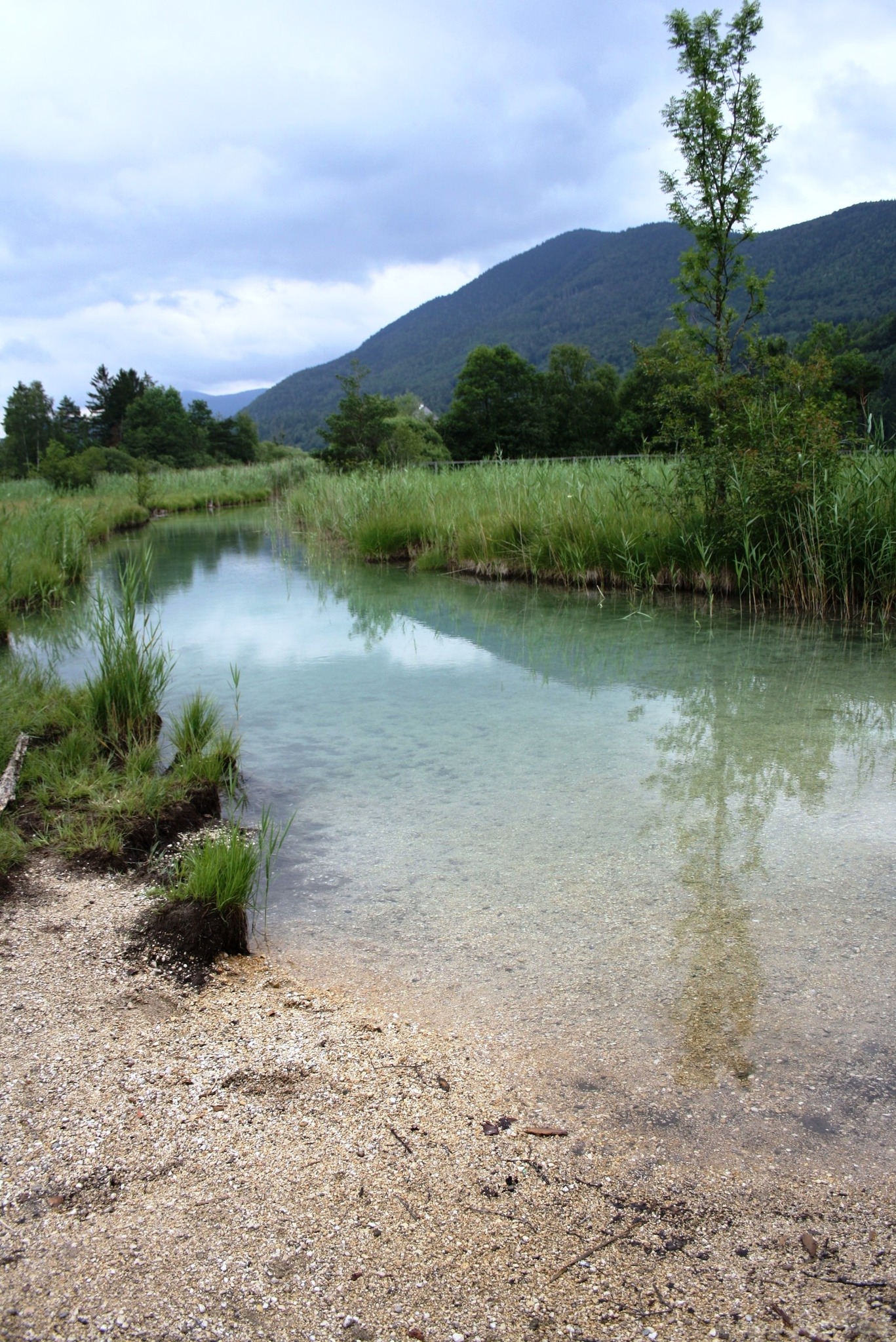 Zufluss im Naturschutzgebiet zum Fuschlsee - Flachgau