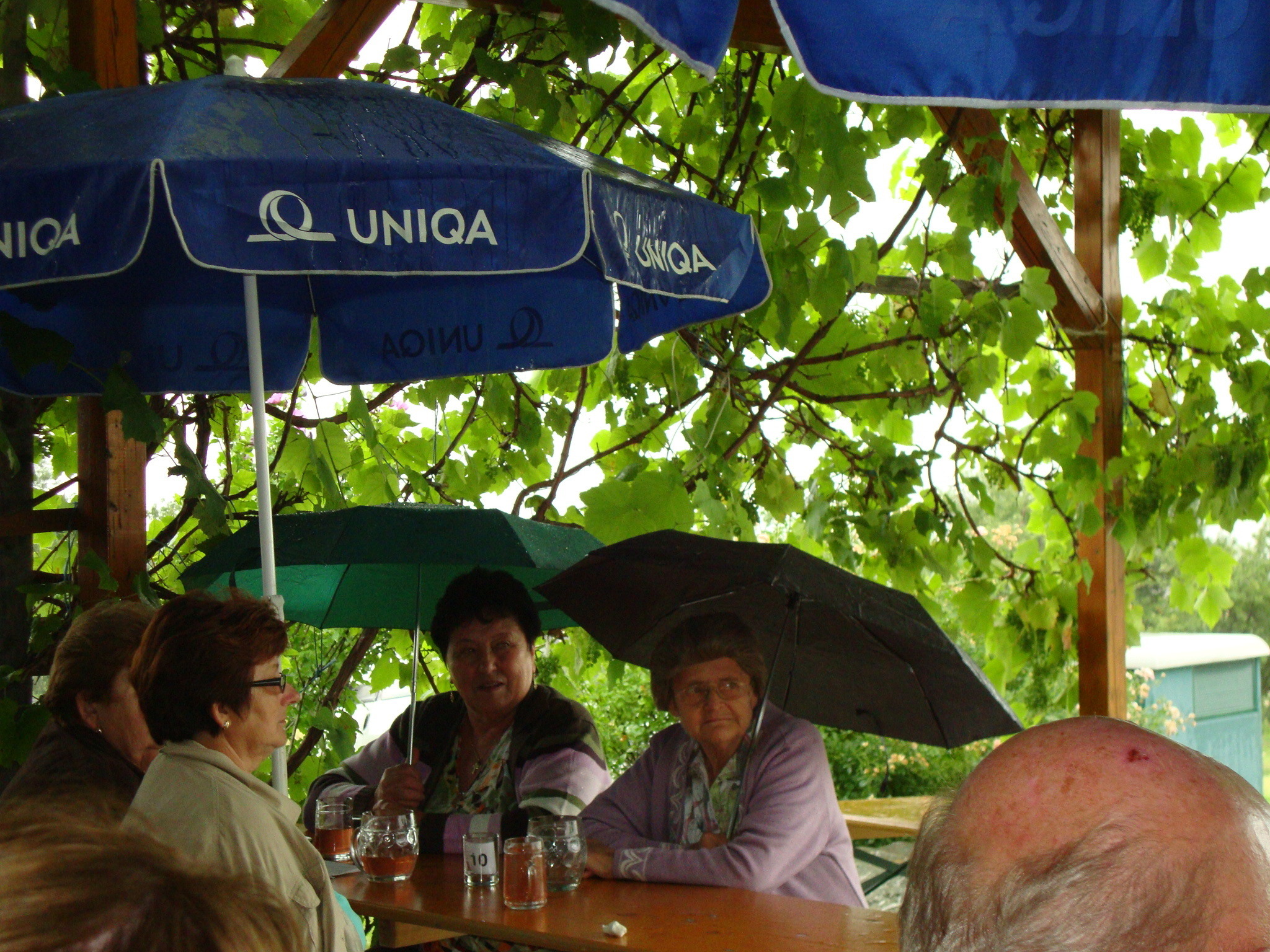 Heurigen Party P.V.Güttenbach - Güssing