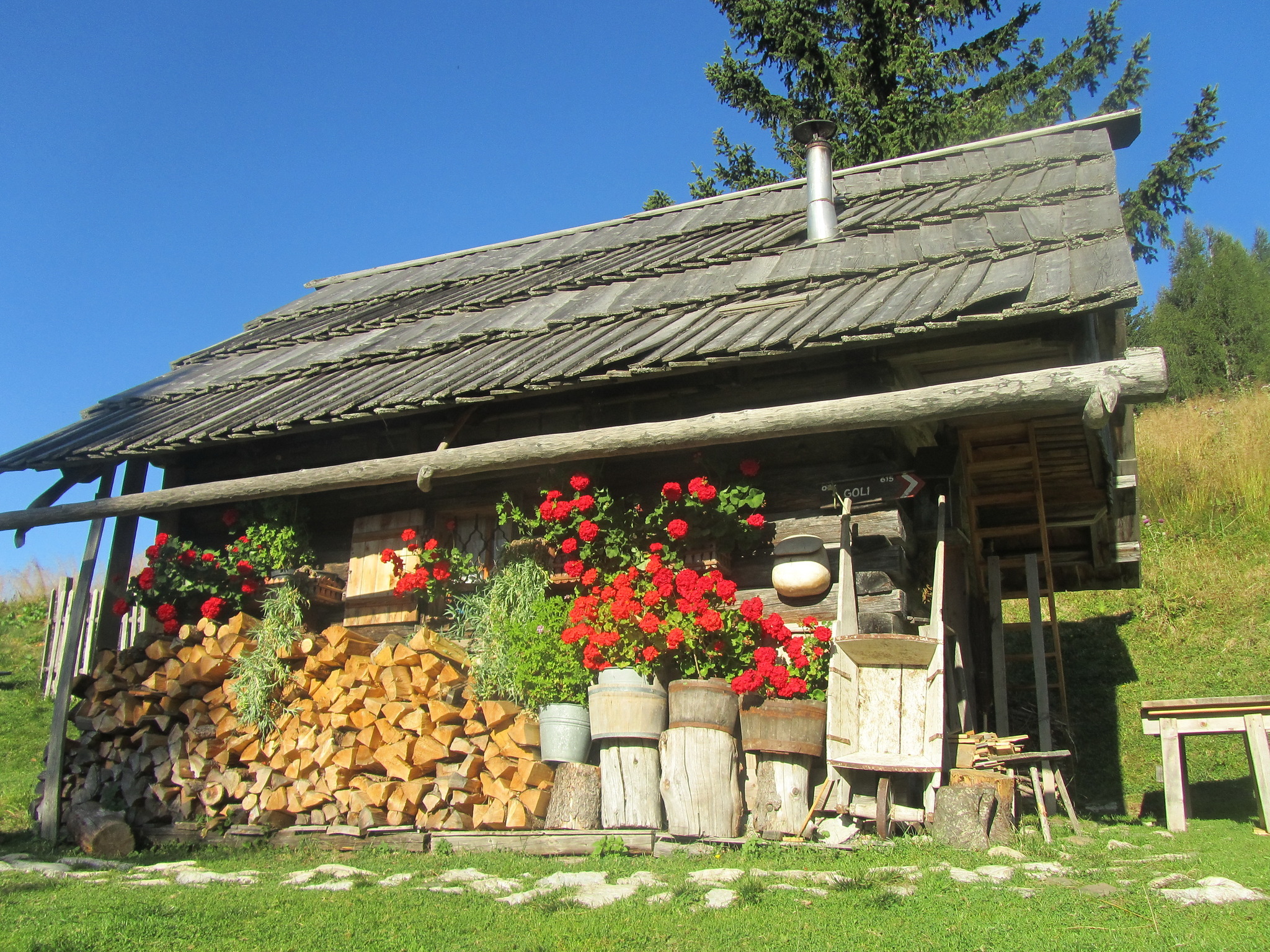 Steiner Alpen: Jenk Alm und Goli Vrh - Klagenfurt