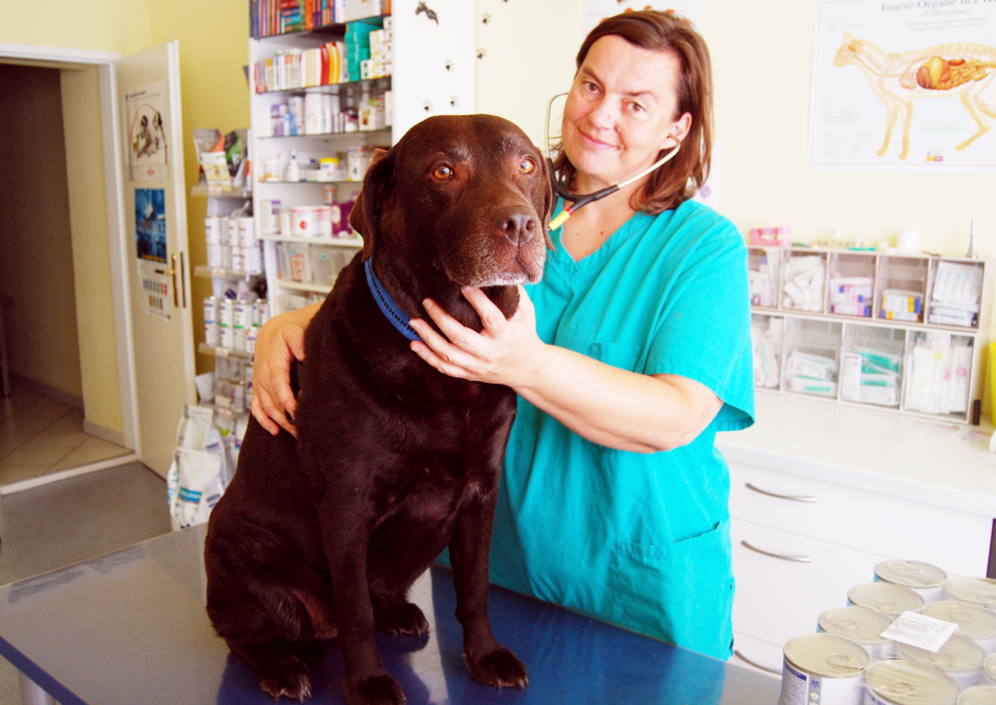 Unternehmer im Zoom: Bei Dr. Hepperle sind Tiere auch nur Menschen ...