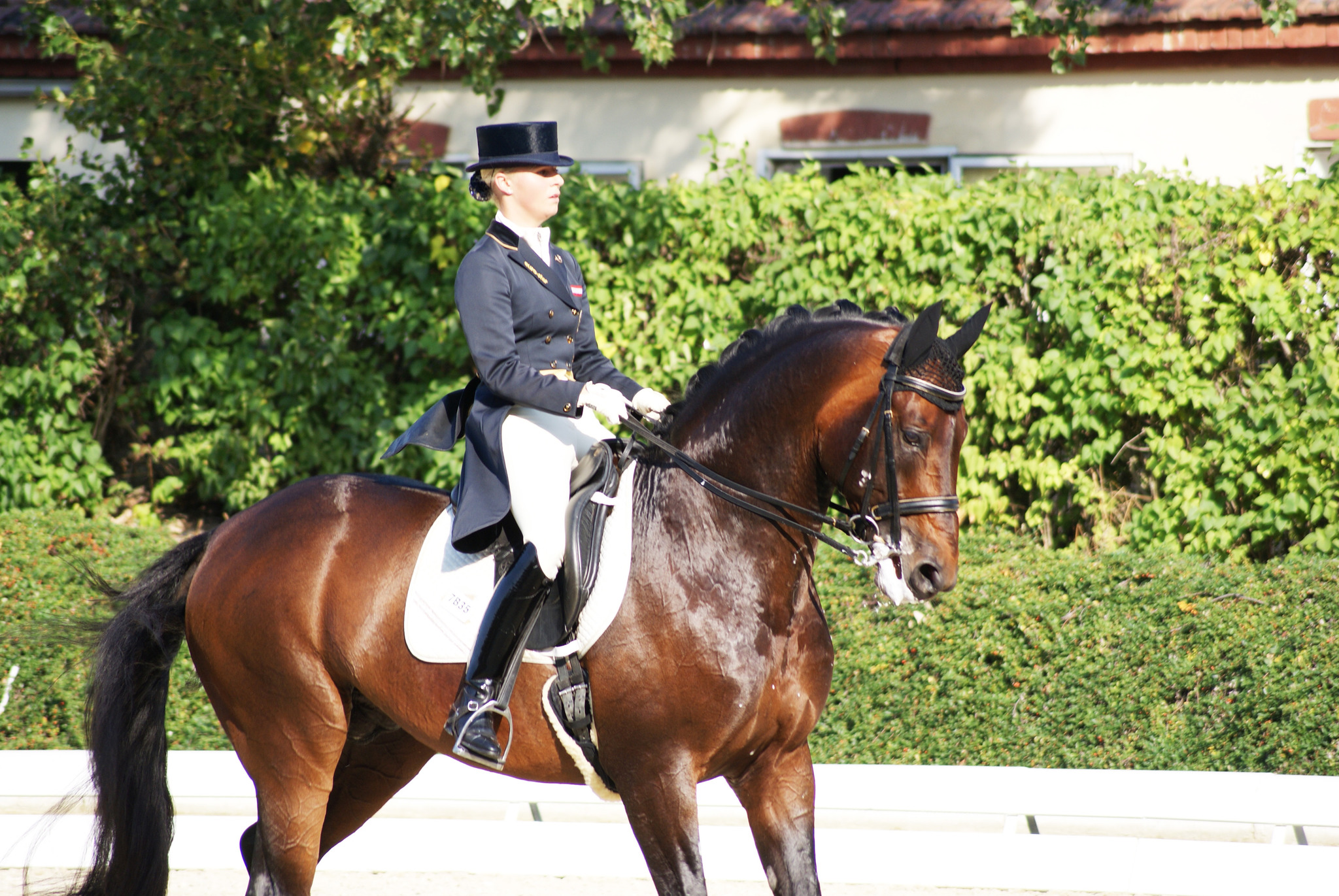 Dressur: Staatsmeister sind fix - Schwechat
