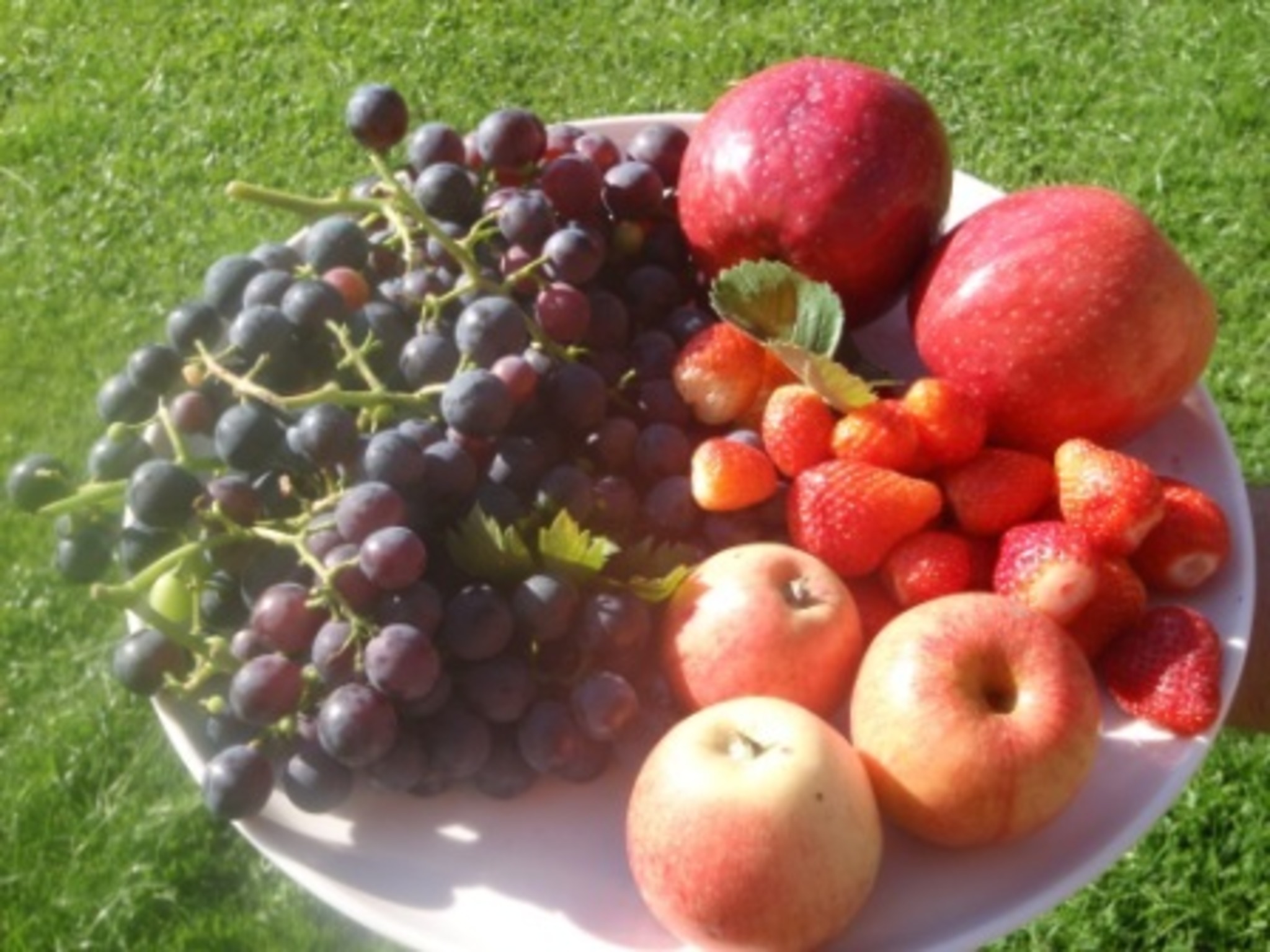 Obst aus eigenem Garten - Völkermarkt