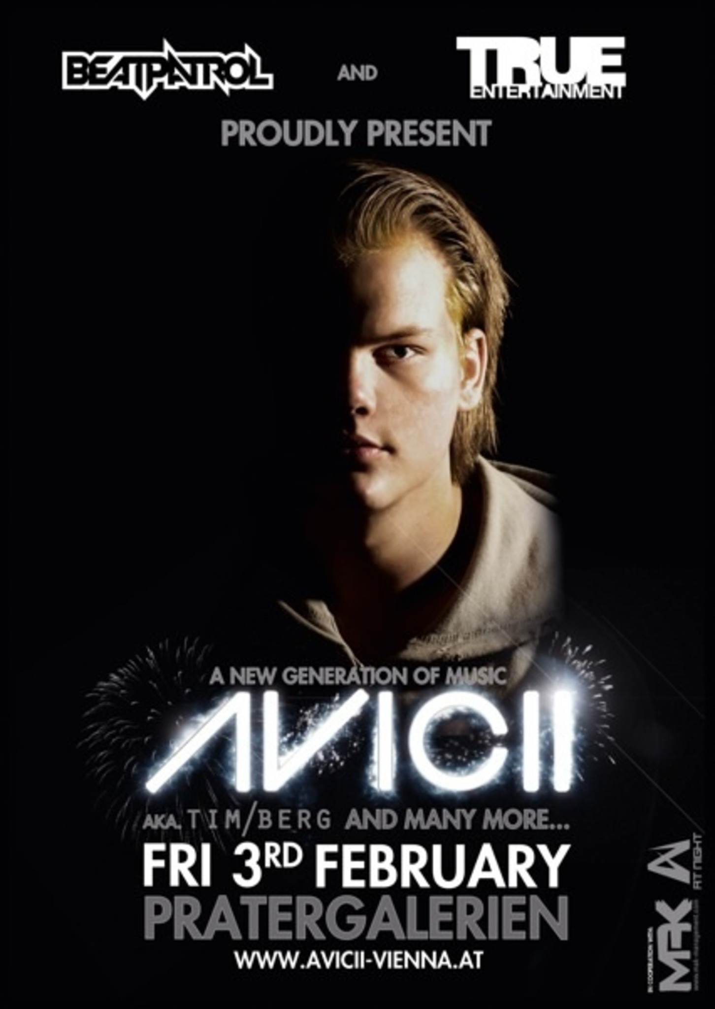 BEATPATROL & TRUE pres. AVICII & Friends - Amstetten