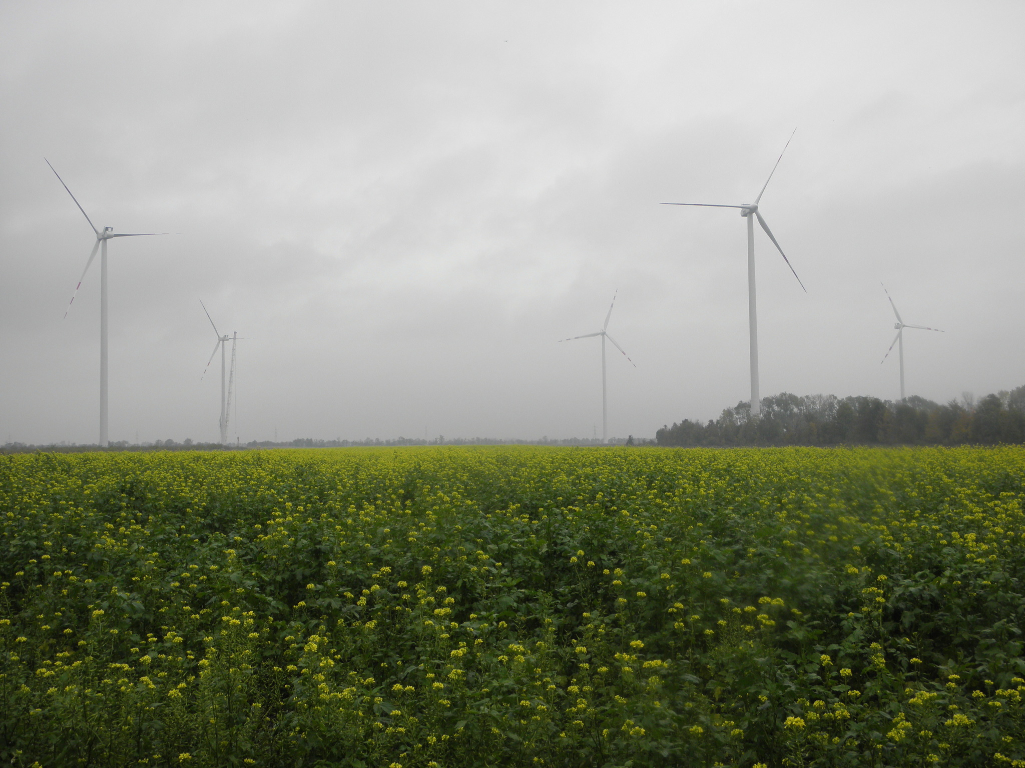 Wenn Wind Strom wird - Steinfeld