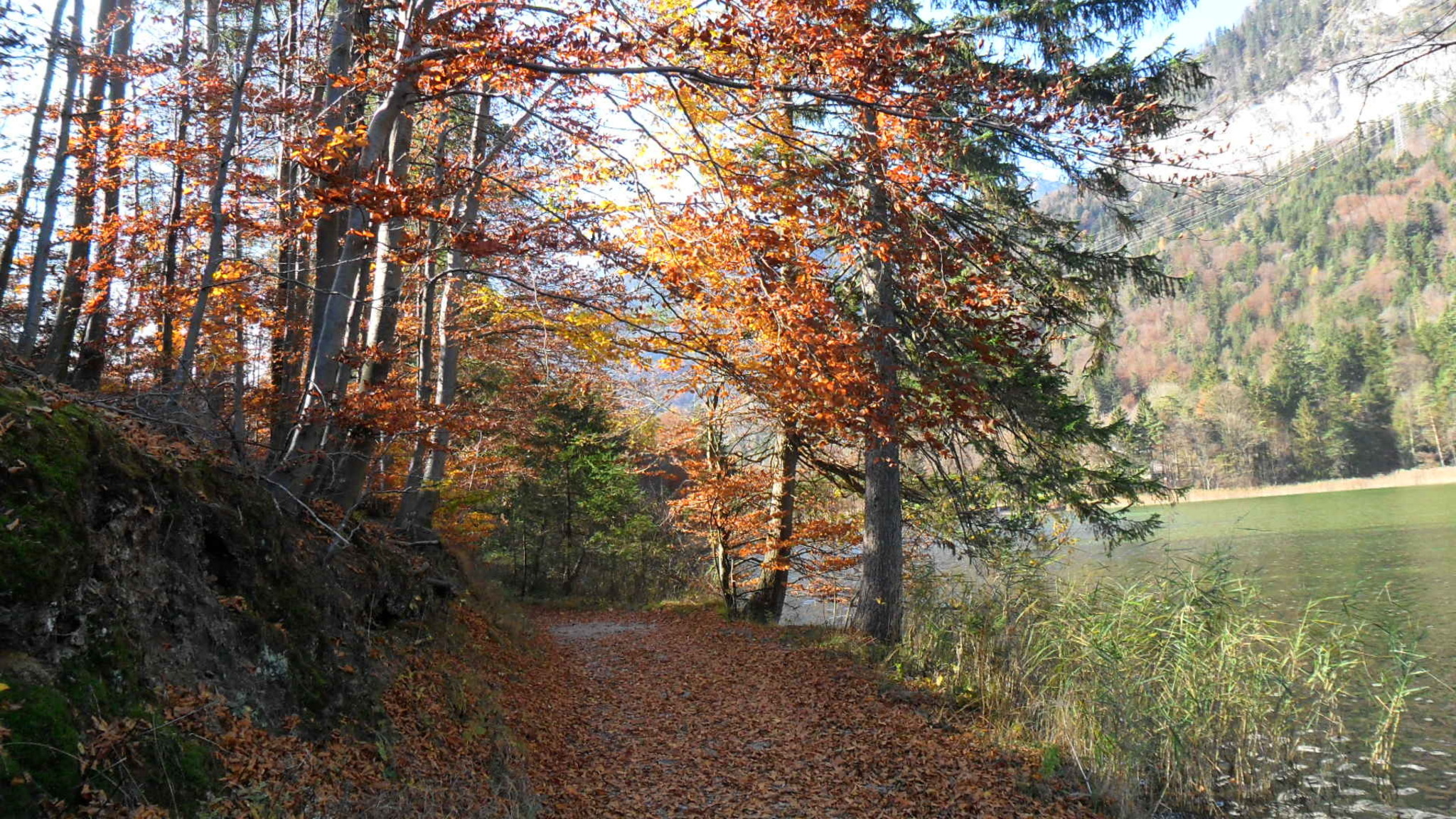 ein nachmittag am krummsee - Kufstein