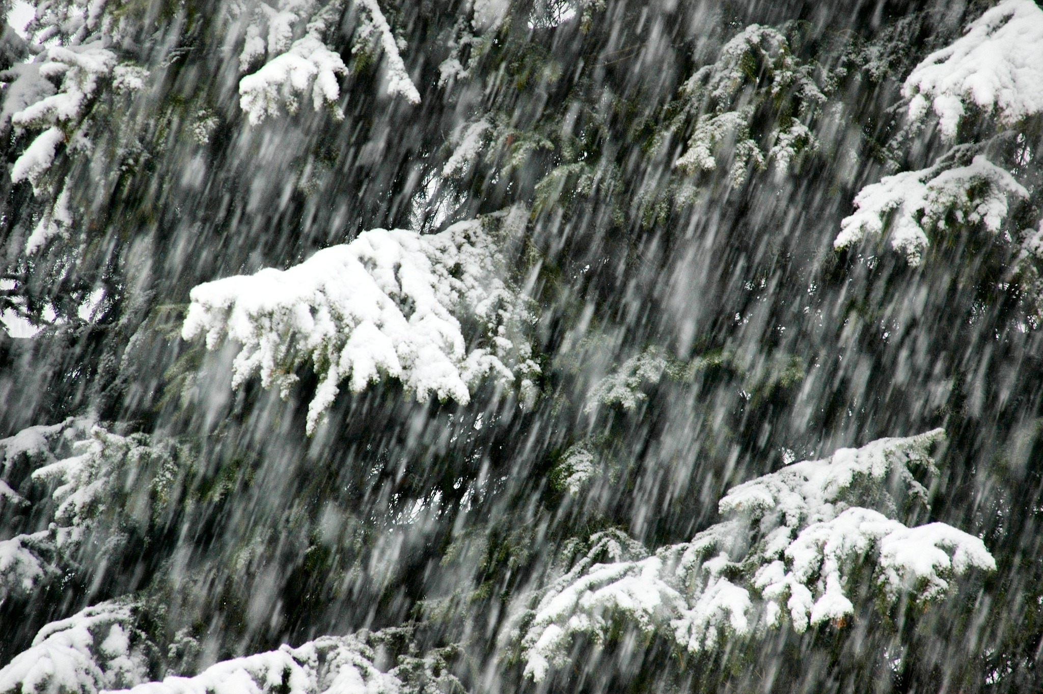 Es schneit und schneit und .... - Pinzgau