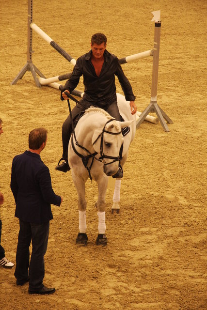 "Horses & Stars" im GHPC mit David Hasselhoff - Villach Land