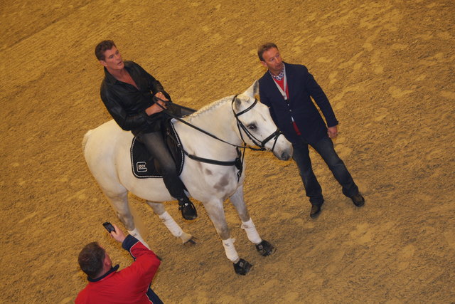 "Horses & Stars" im GHPC mit David Hasselhoff - Villach Land