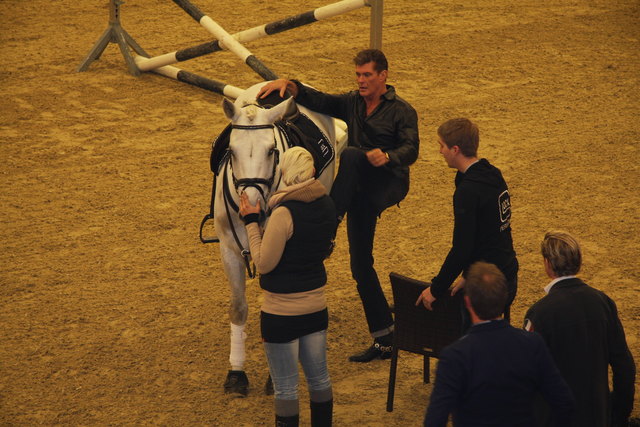 "Horses & Stars" im GHPC mit David Hasselhoff - Villach Land