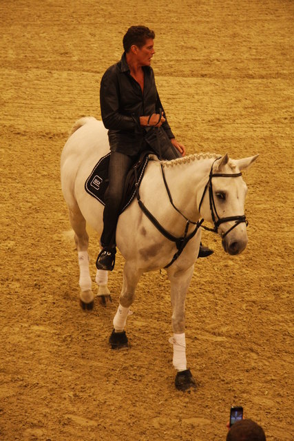 "Horses & Stars" im GHPC mit David Hasselhoff - Villach Land