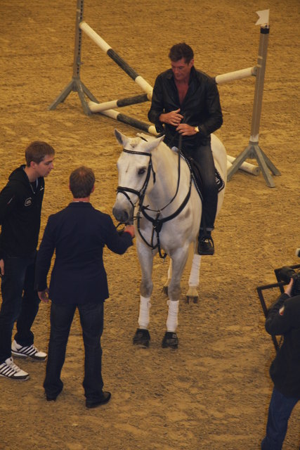 "Horses & Stars" im GHPC mit David Hasselhoff - Villach Land