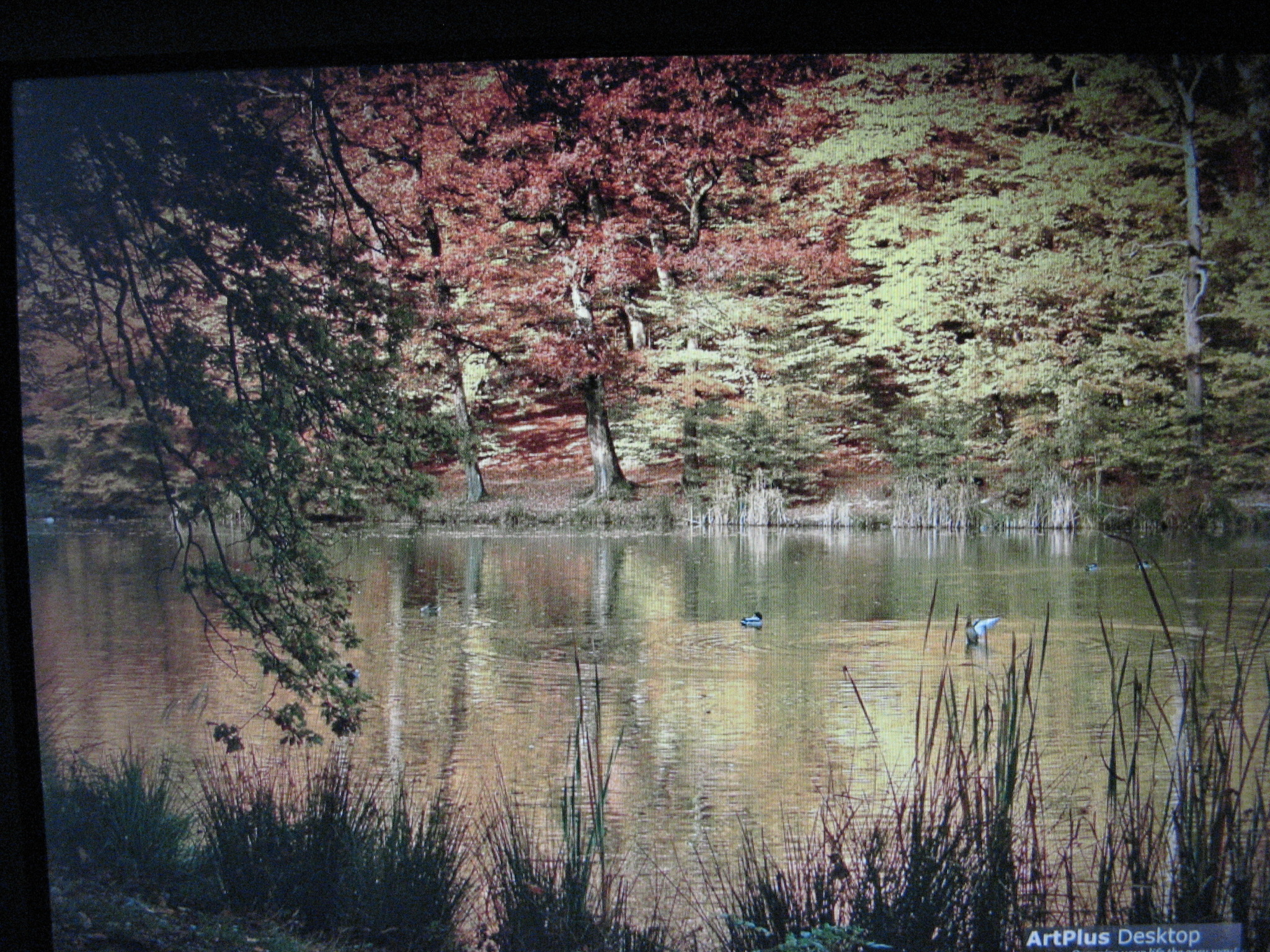 Sooo kalt,brrr... - Brigittenau