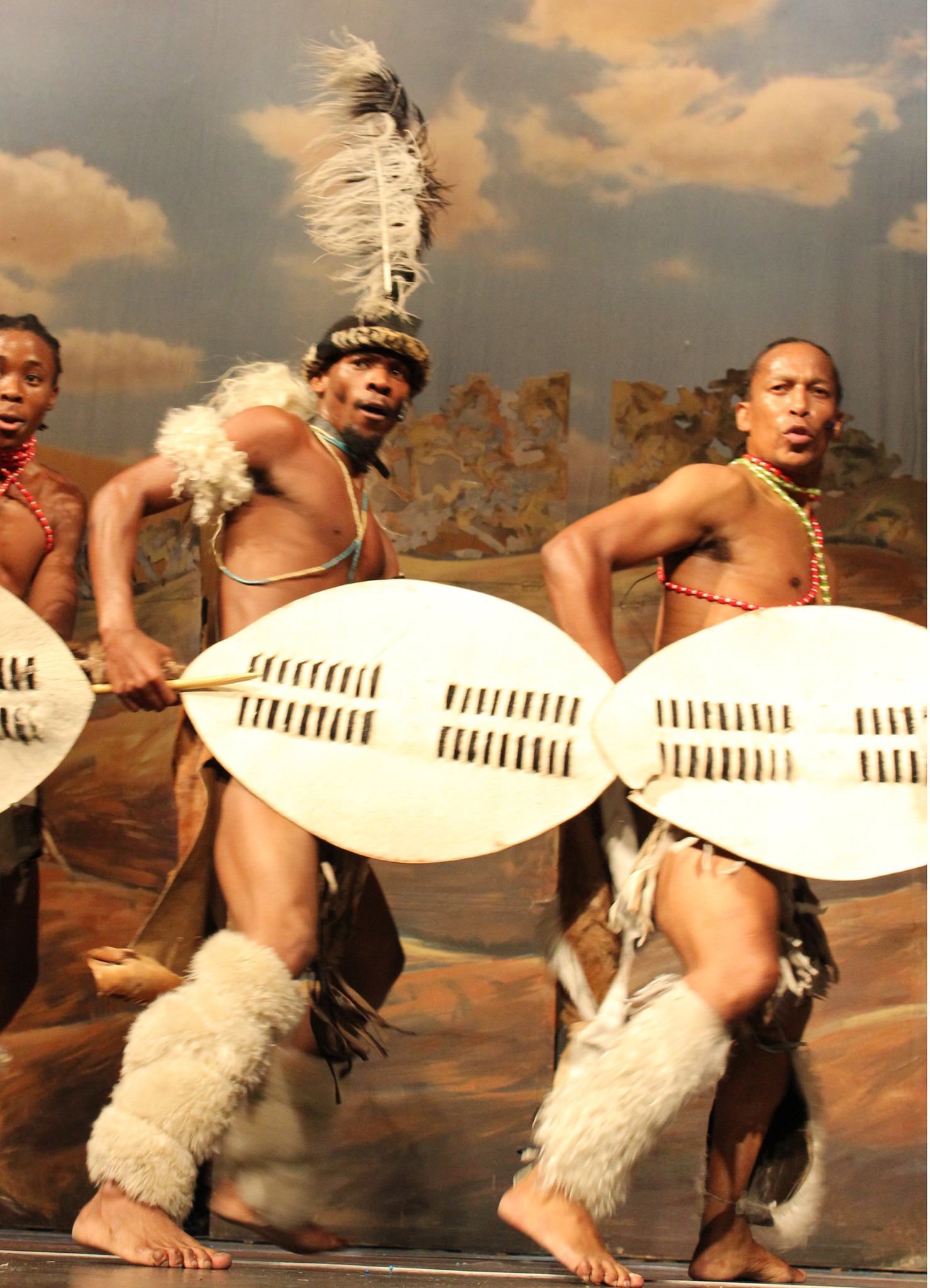 Musical / South African Musical Group - Steyr & Steyr Land