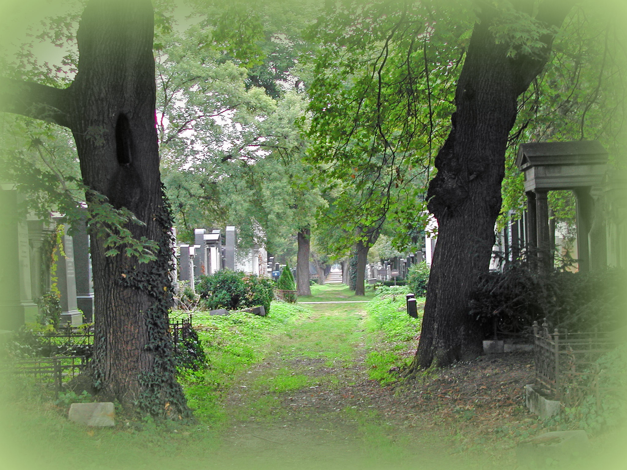 Frühling im Friedhof - Simmering