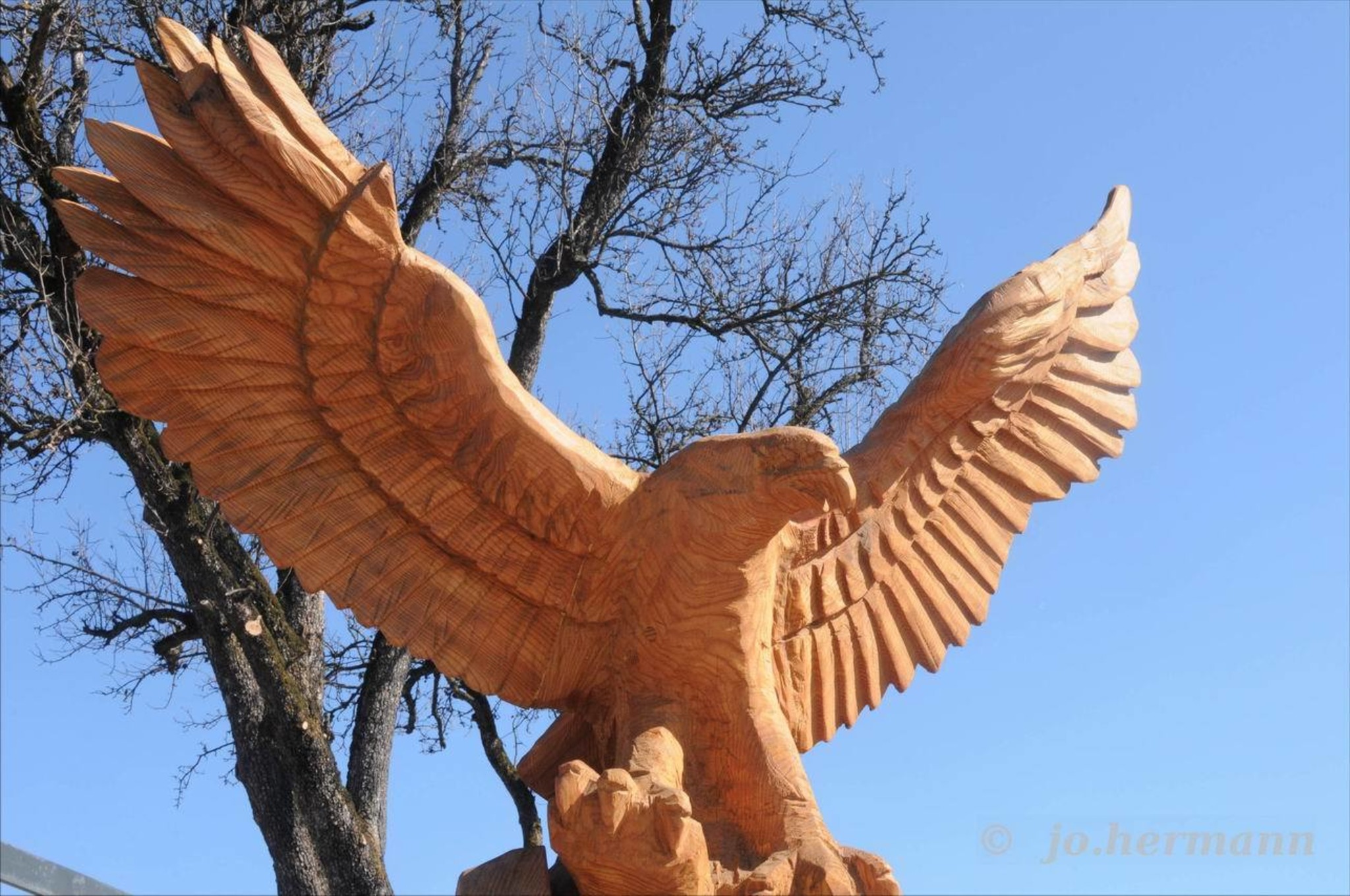 Der Adler ist gelandet ! - Spittal