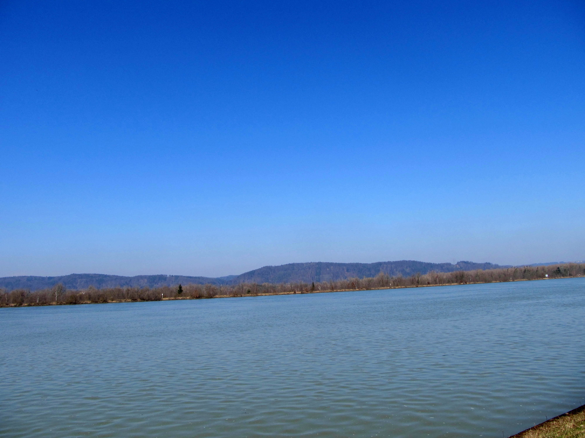 Inn Au Ranshofen - Lebensraum für vielfältige Tier- und Pflanzenwelt ...