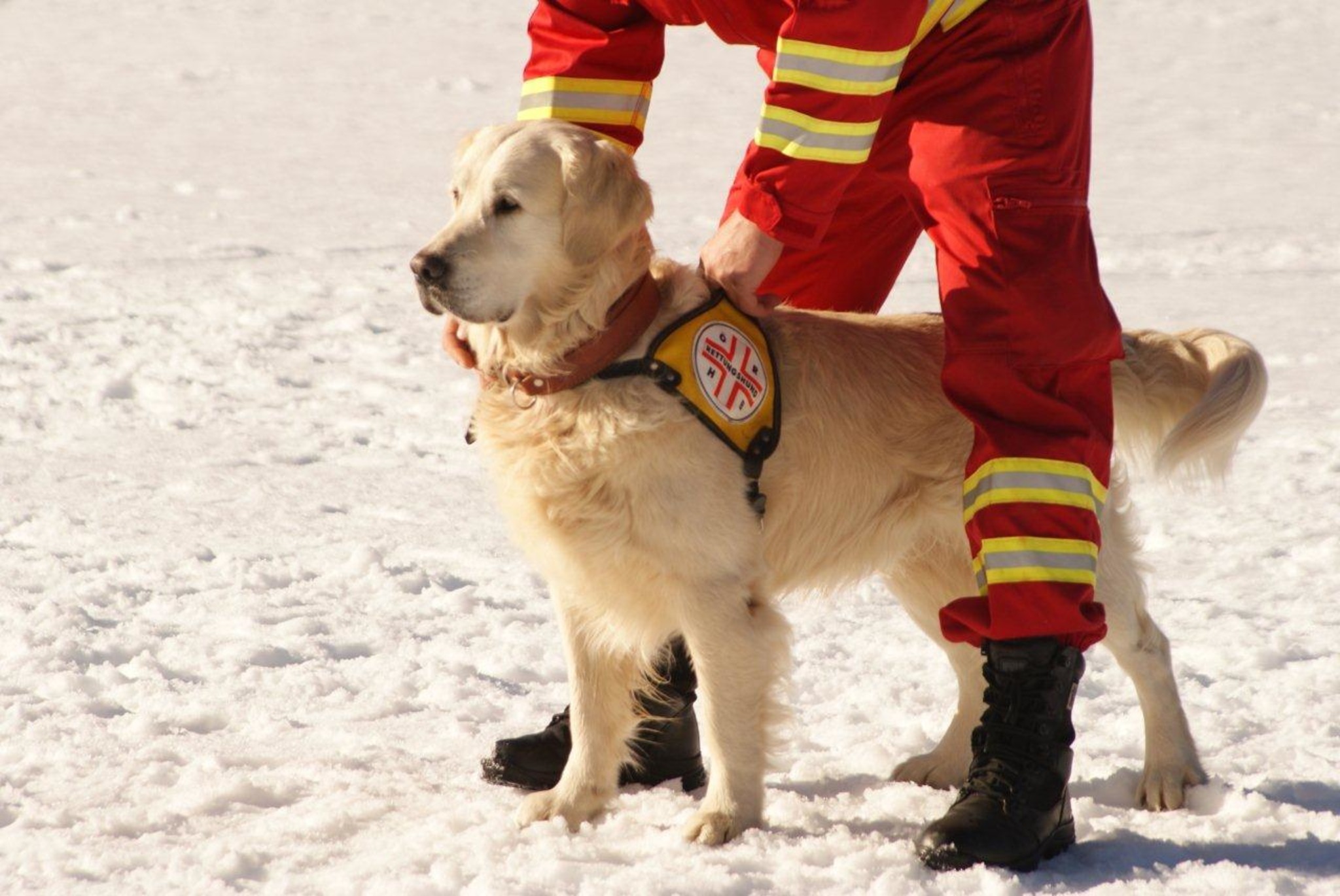 Rettungshunde sagen DANKE!!! - Liezen