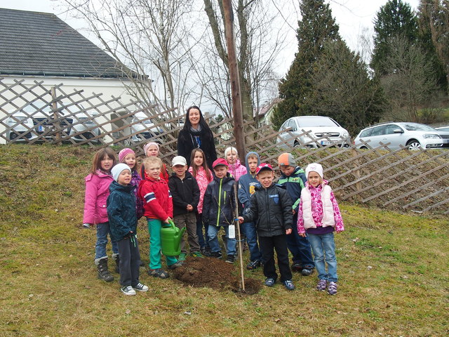 Die Gesunde Gemeinde Langschlag pflanzte im Garten neben der Schule ...