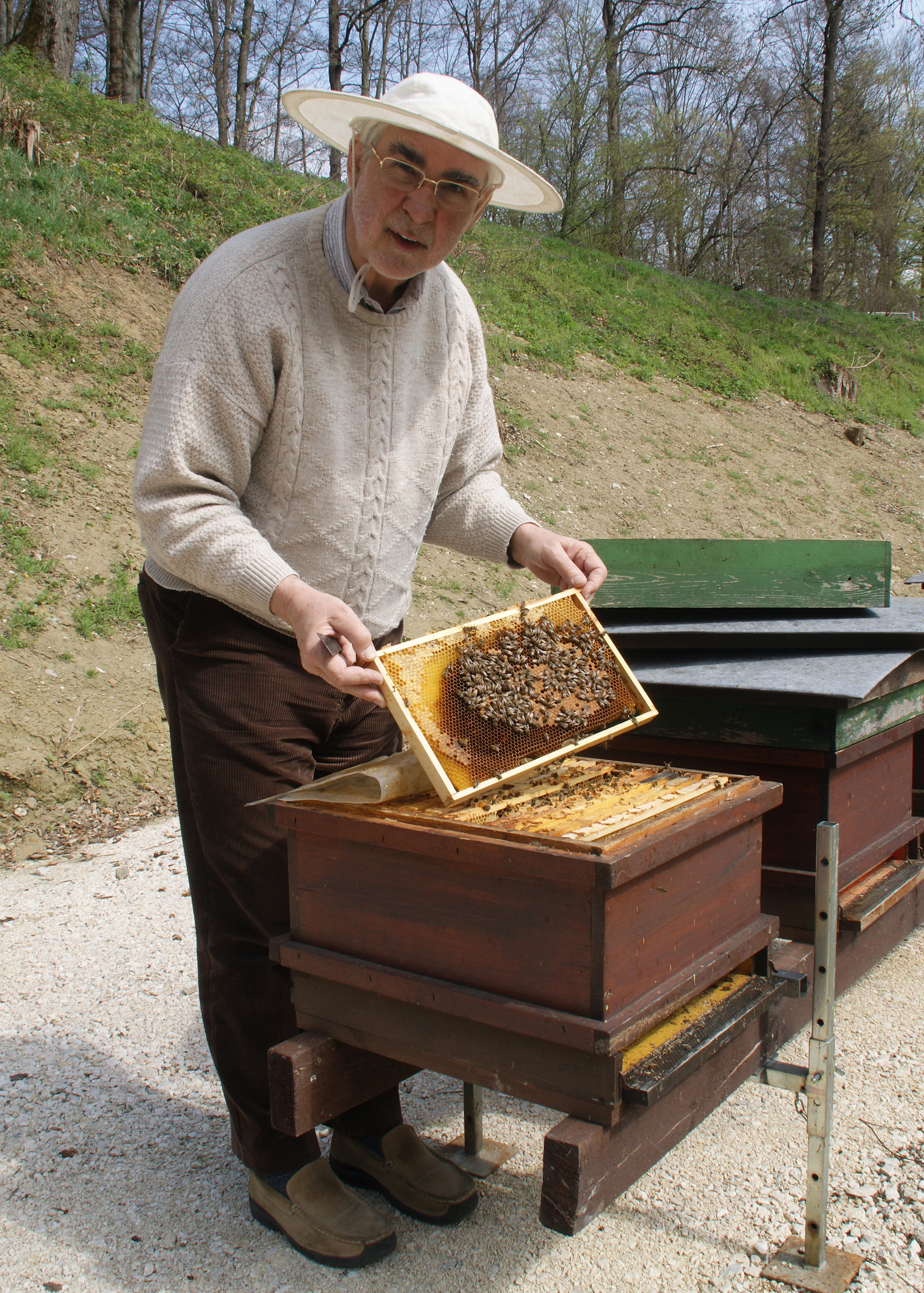 Imker aus ganzer Leidenschaft - Enns