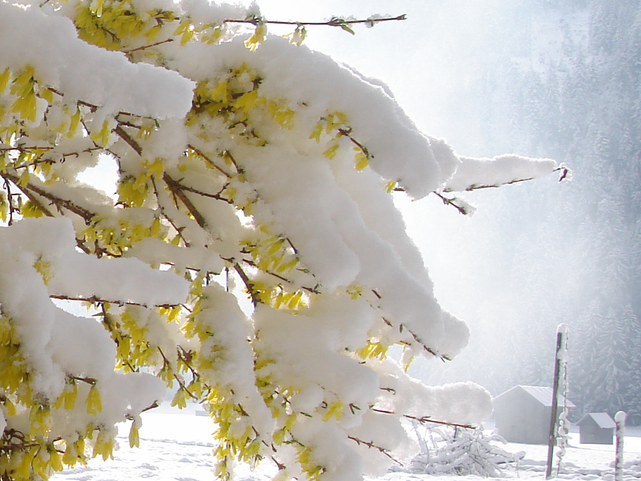 Winter meets Frühling....... - Reutte