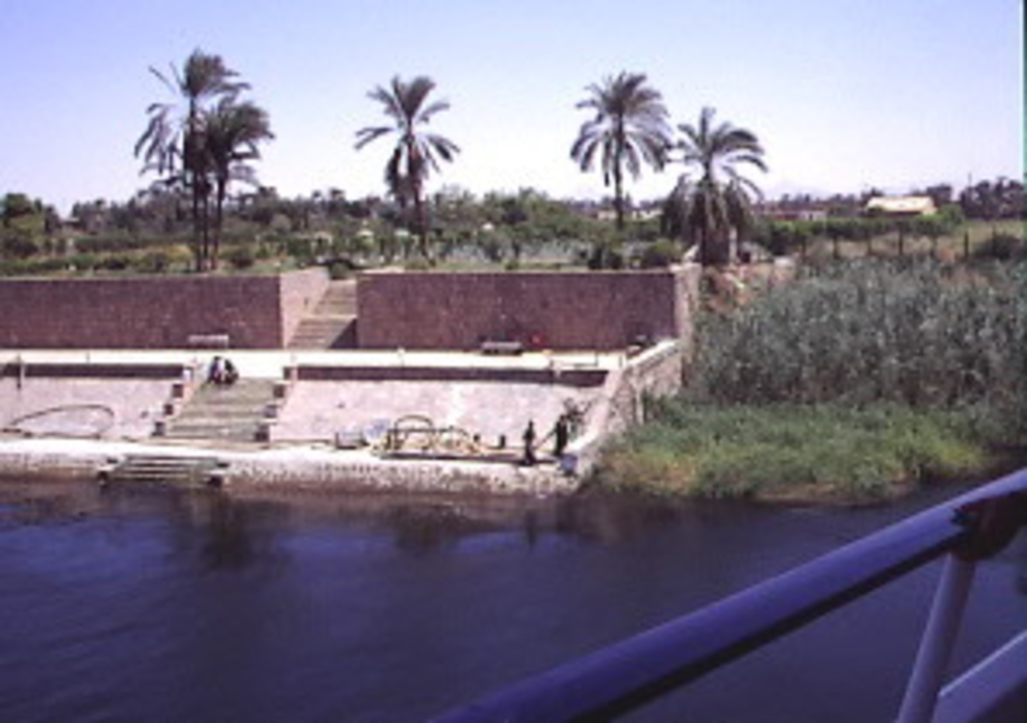 Leben am Nil - Liesing