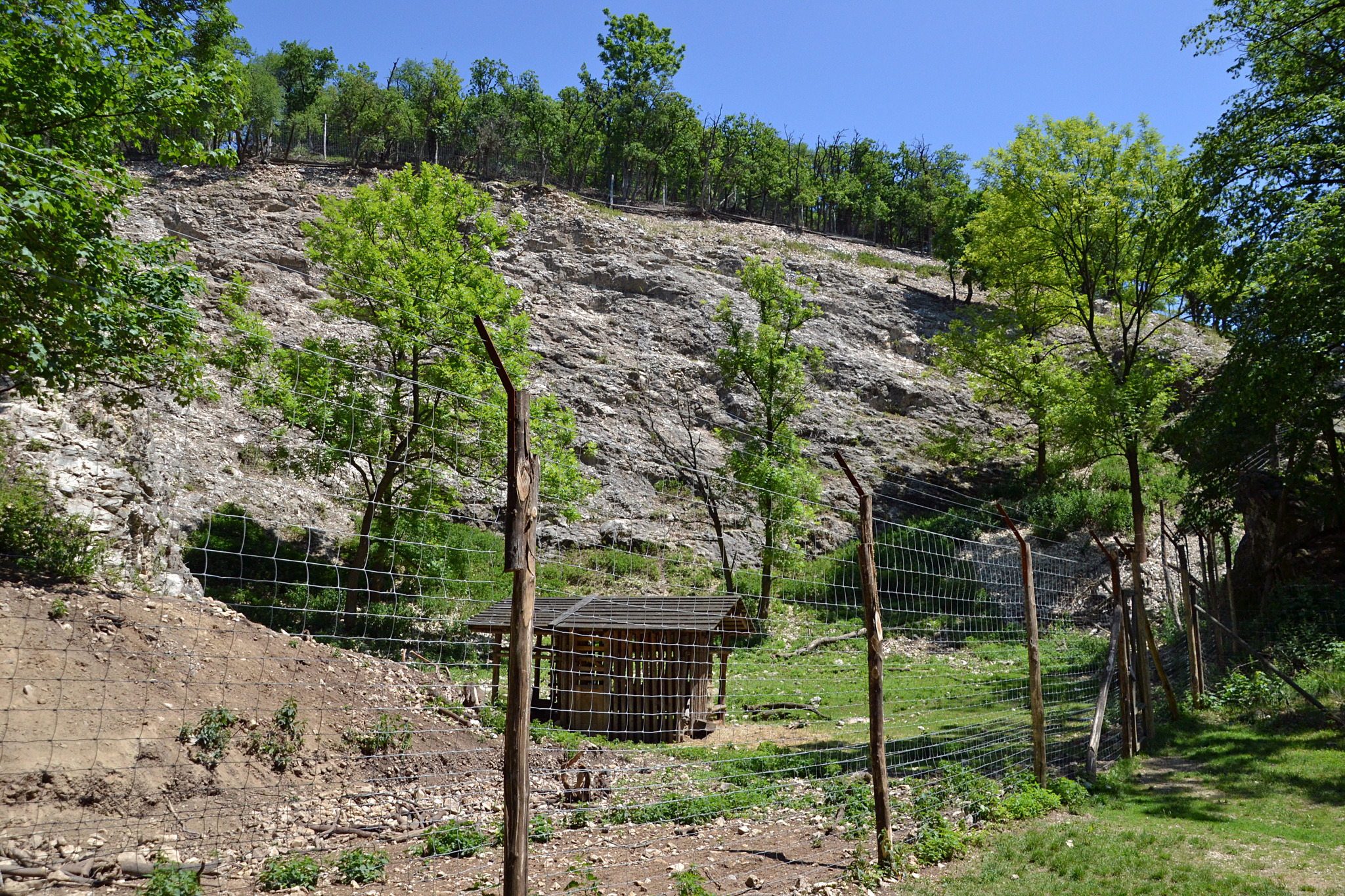 Wildpark Ernstbrunn - Korneuburg