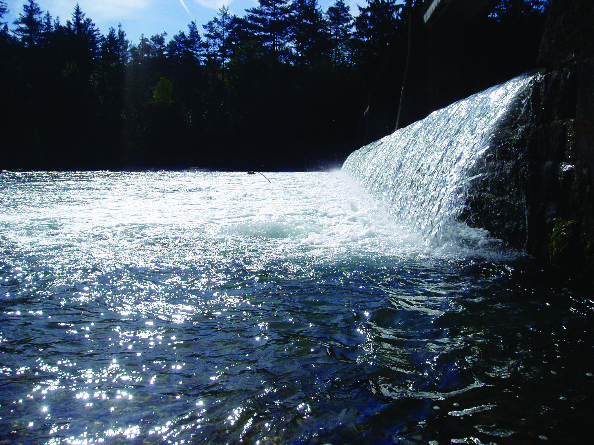 Genuss am Fluss - So schmeckt die Alm - Wels & Wels Land