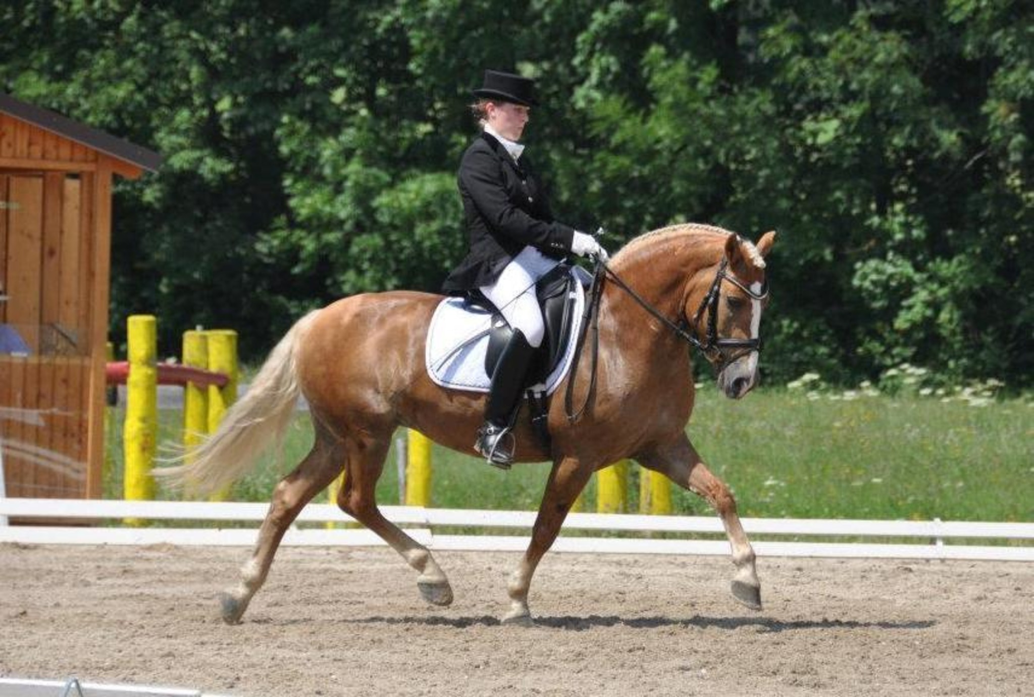 Reiterinnen des URFV Kobernaußen - auf Erfolgskurs! - Ried