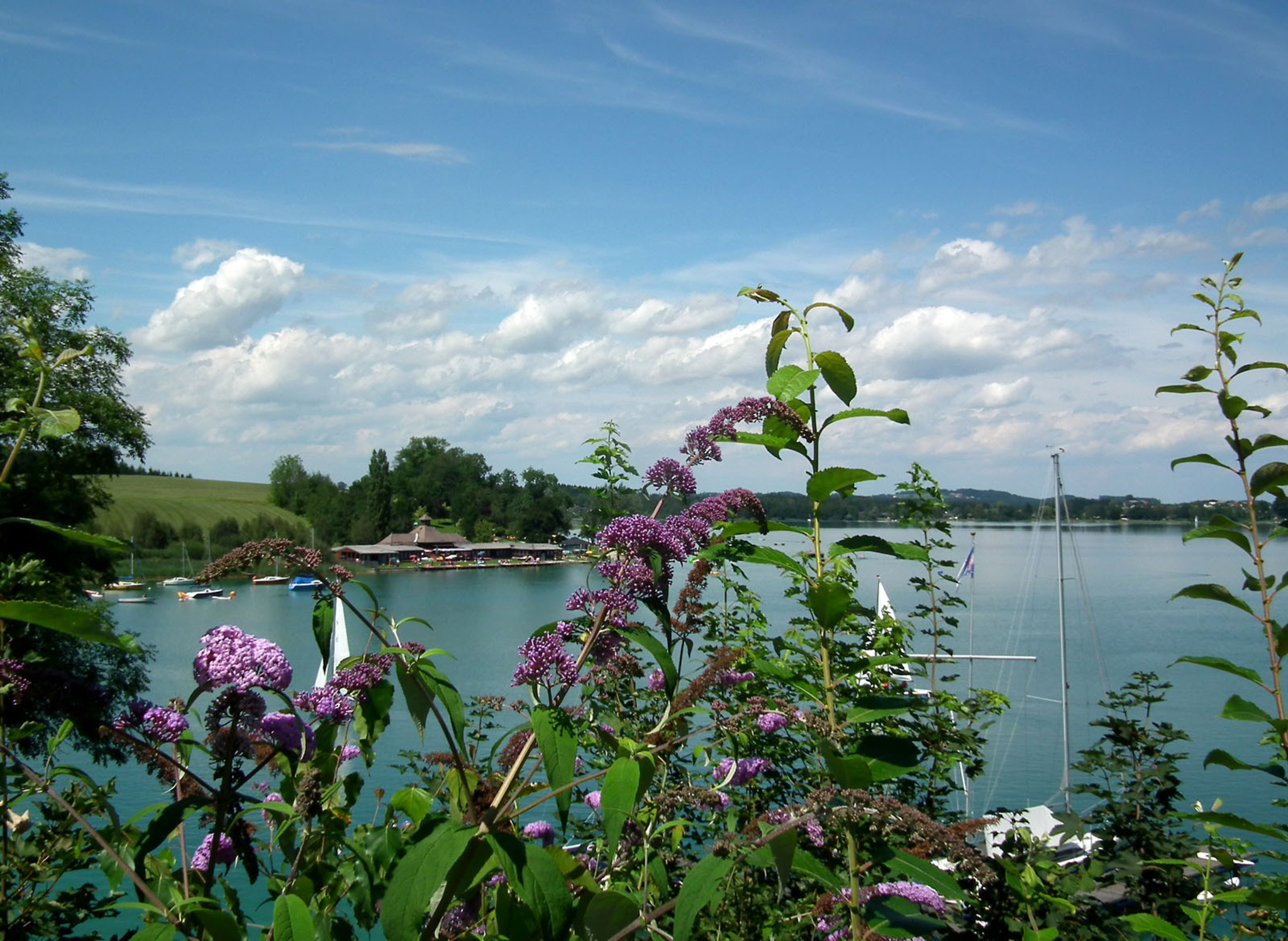 Blick zum Strandbad Mattsee - Tennengau