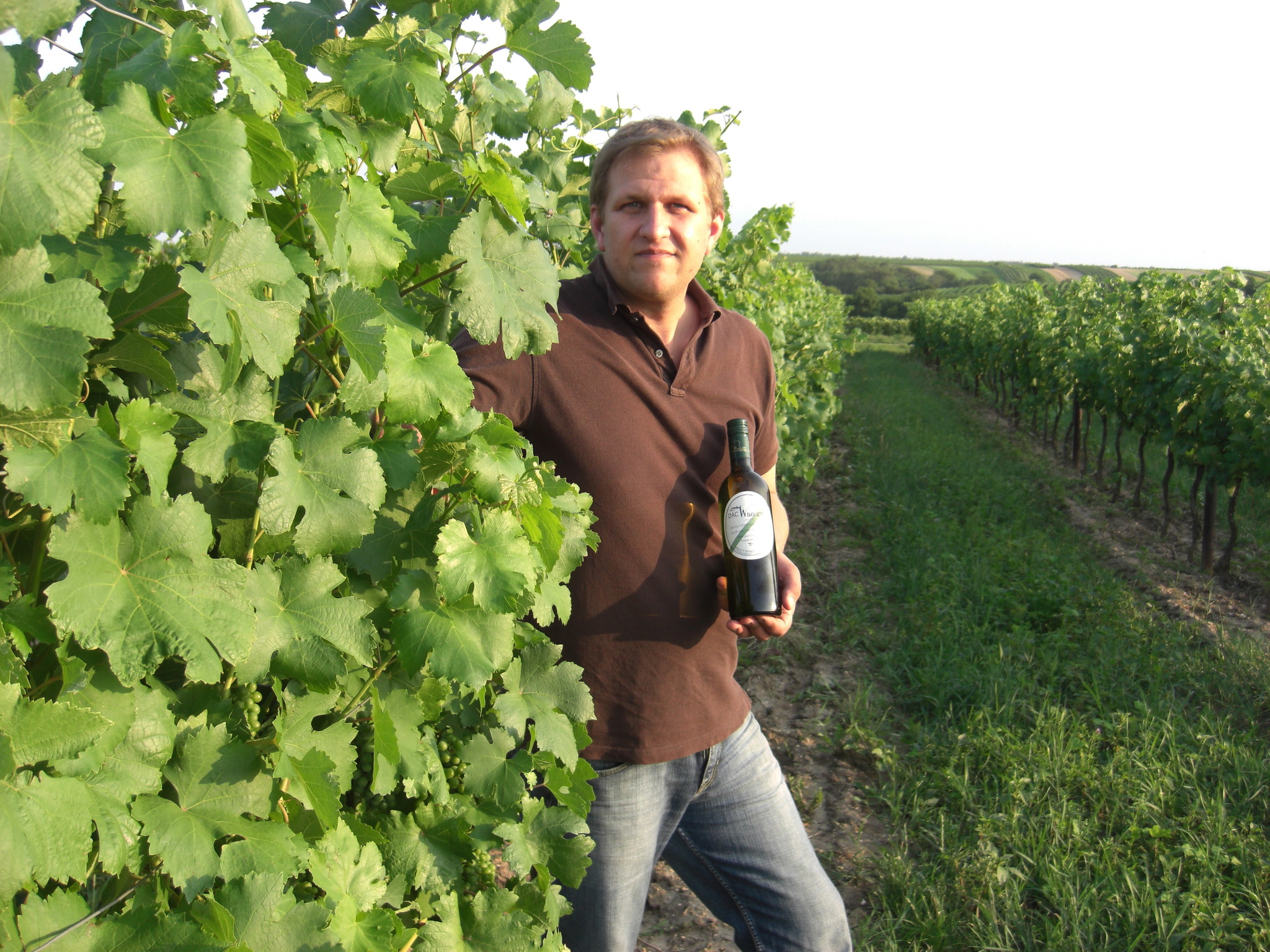 Das Dorf der Winzer - Gänserndorf