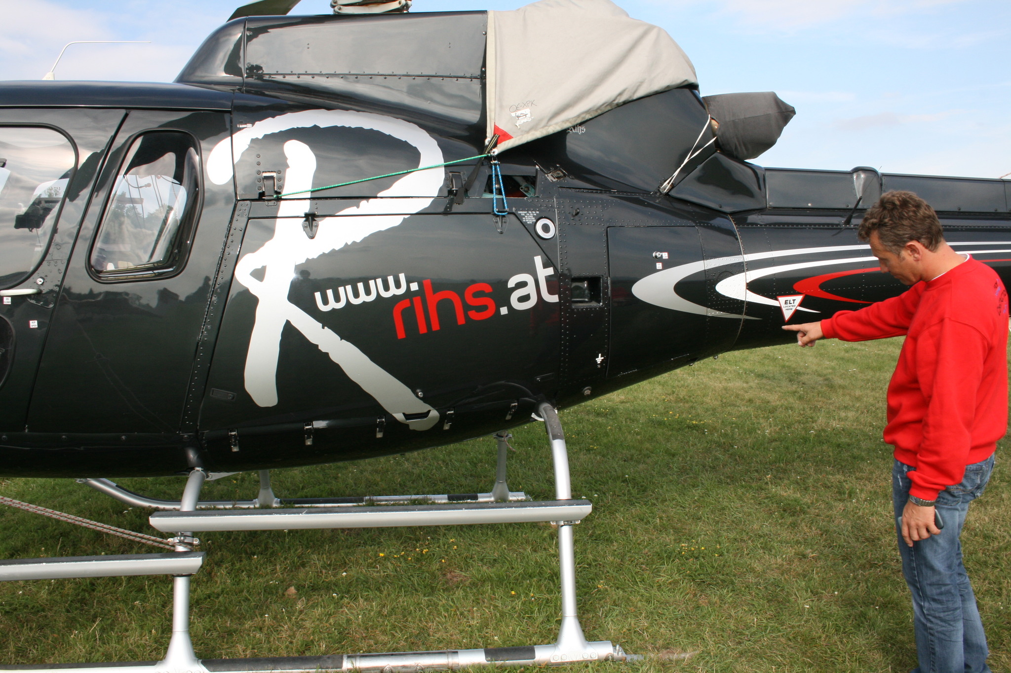 25 Rinder im Flughafengelände - Krems