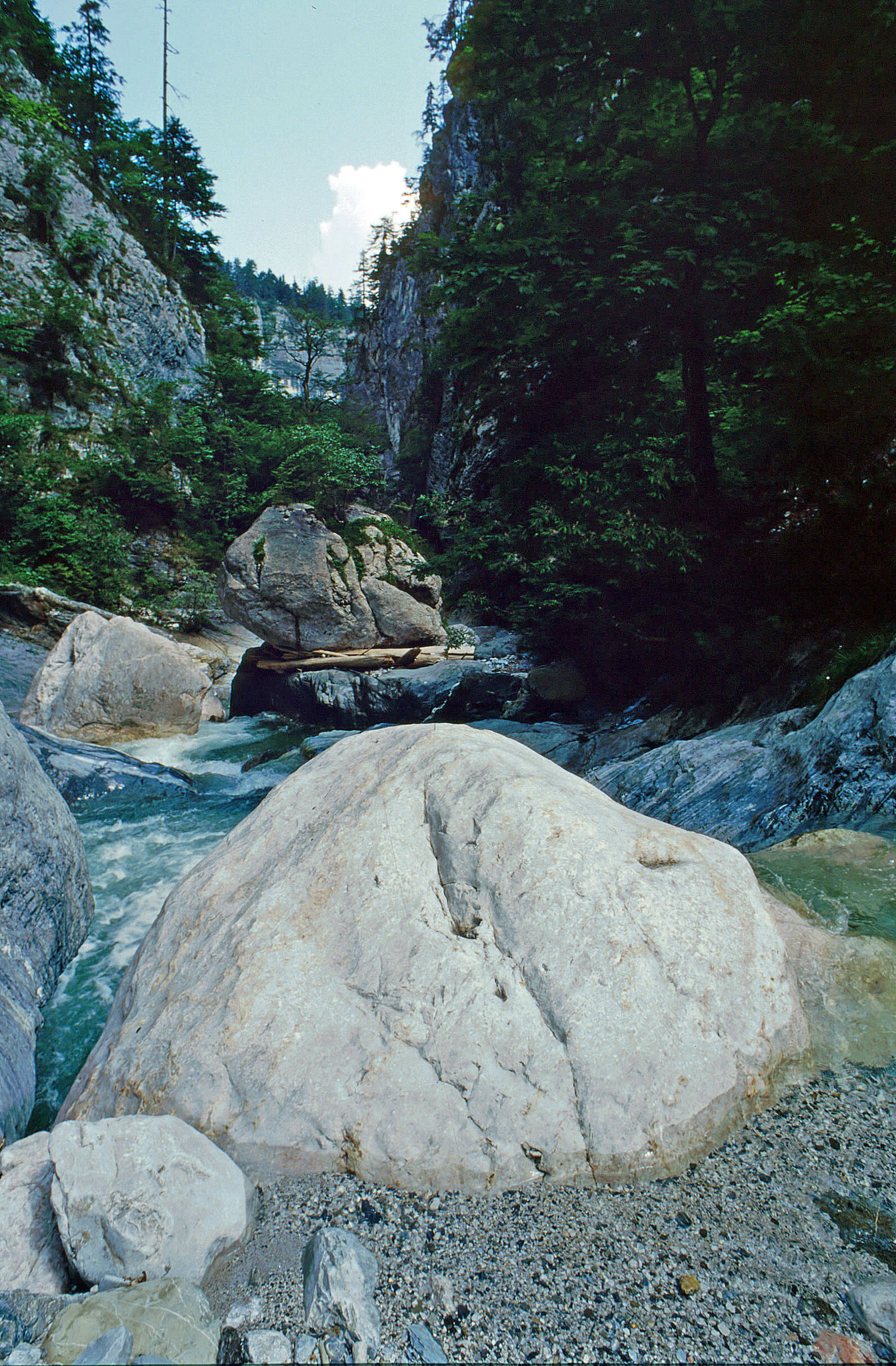 Garnitzenklamm (Kärnten) 7 - Braunau